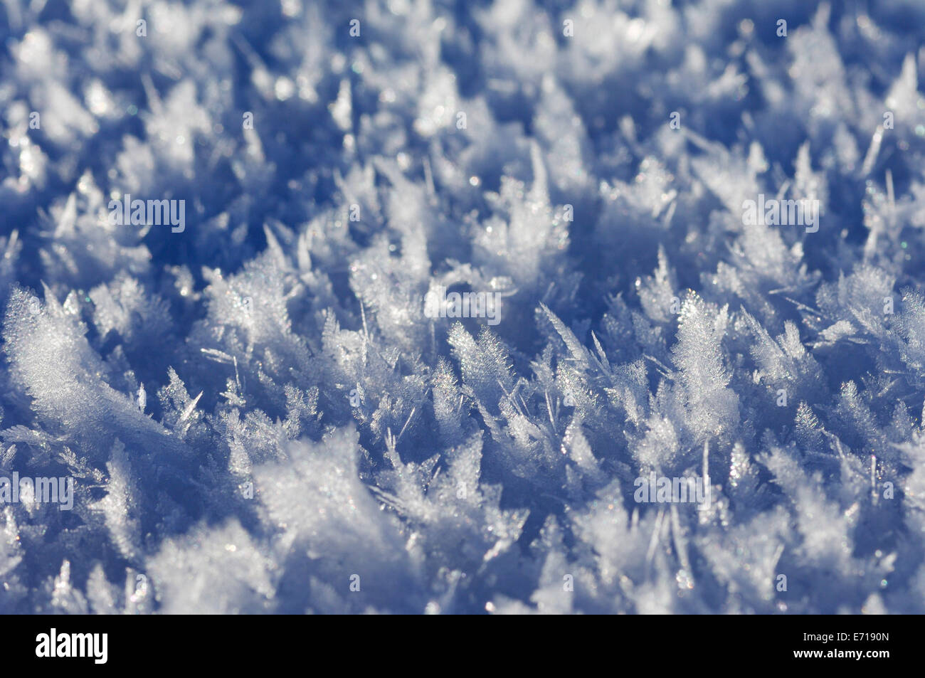 Ice crystals at the surface of snow, close-up Stock Photo - Alamy