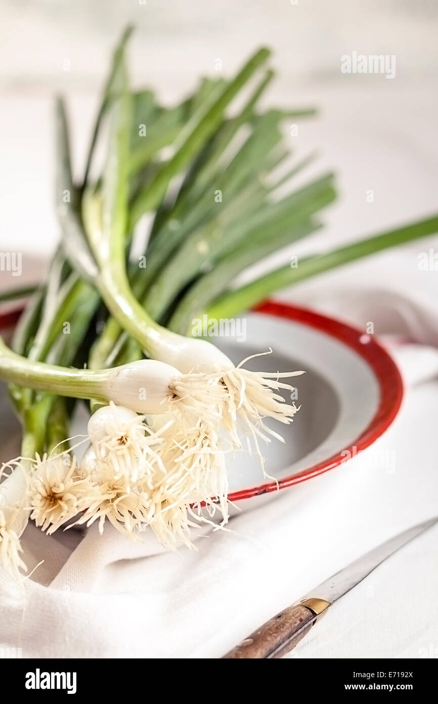 Spring onions on plate Stock Photo - Alamy