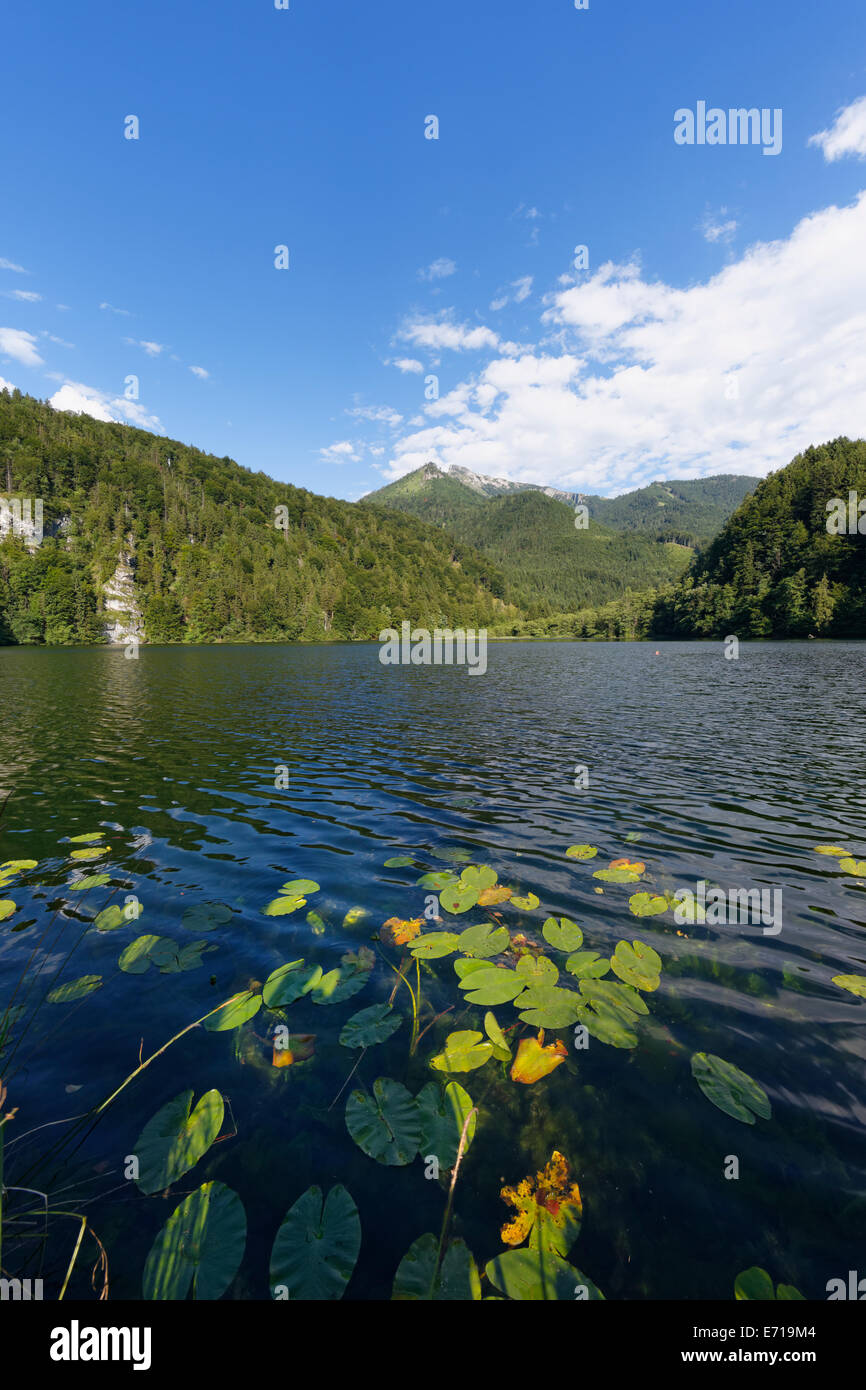 Gilgen hi-res stock photography and images - Alamy