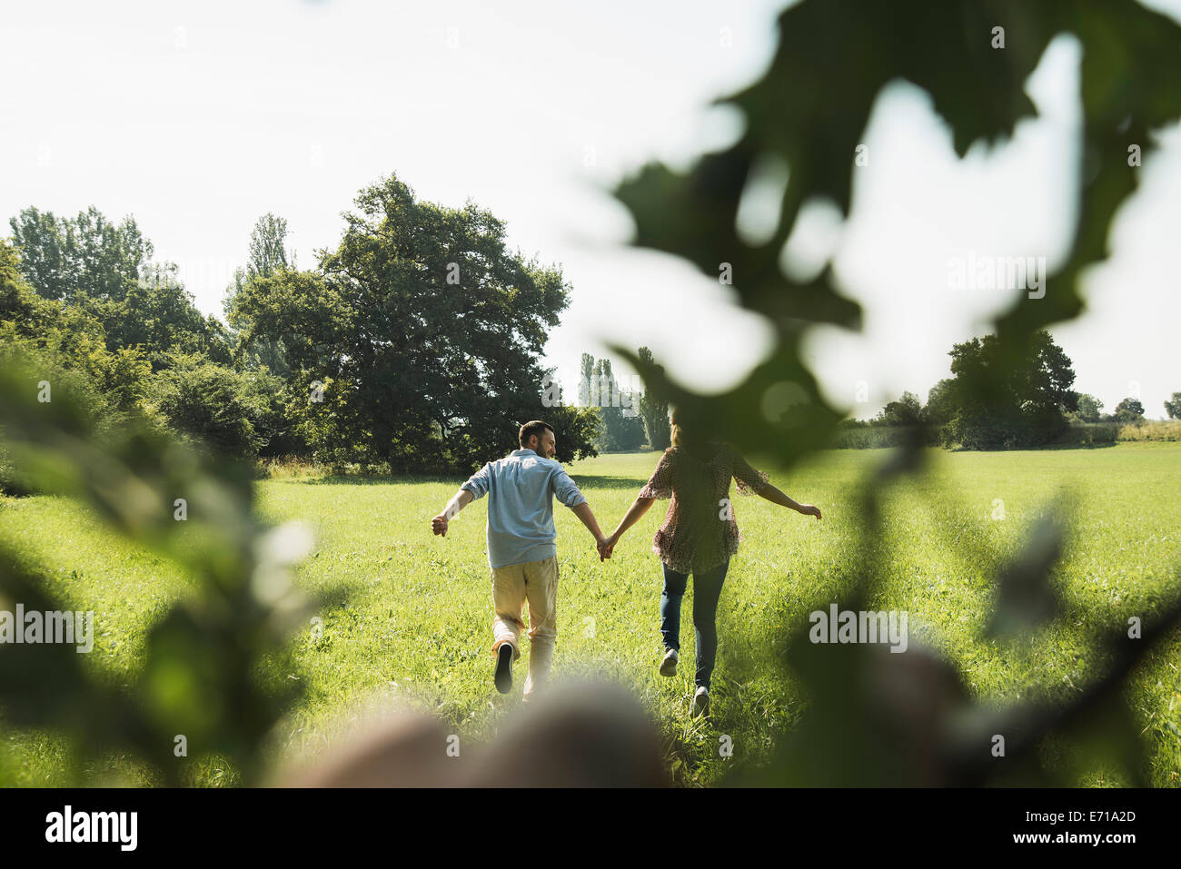 Young couple running hand in hand on a meadow, back view Stock Photo ...