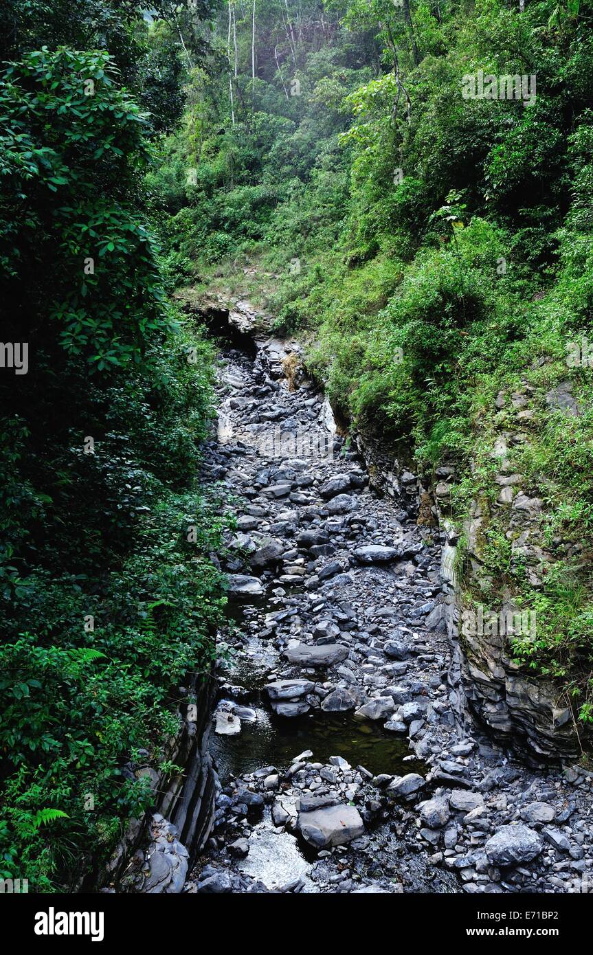 Gocta Waterfalls route in CHACHAPOYAS . Department of Amazonas .PERU ...