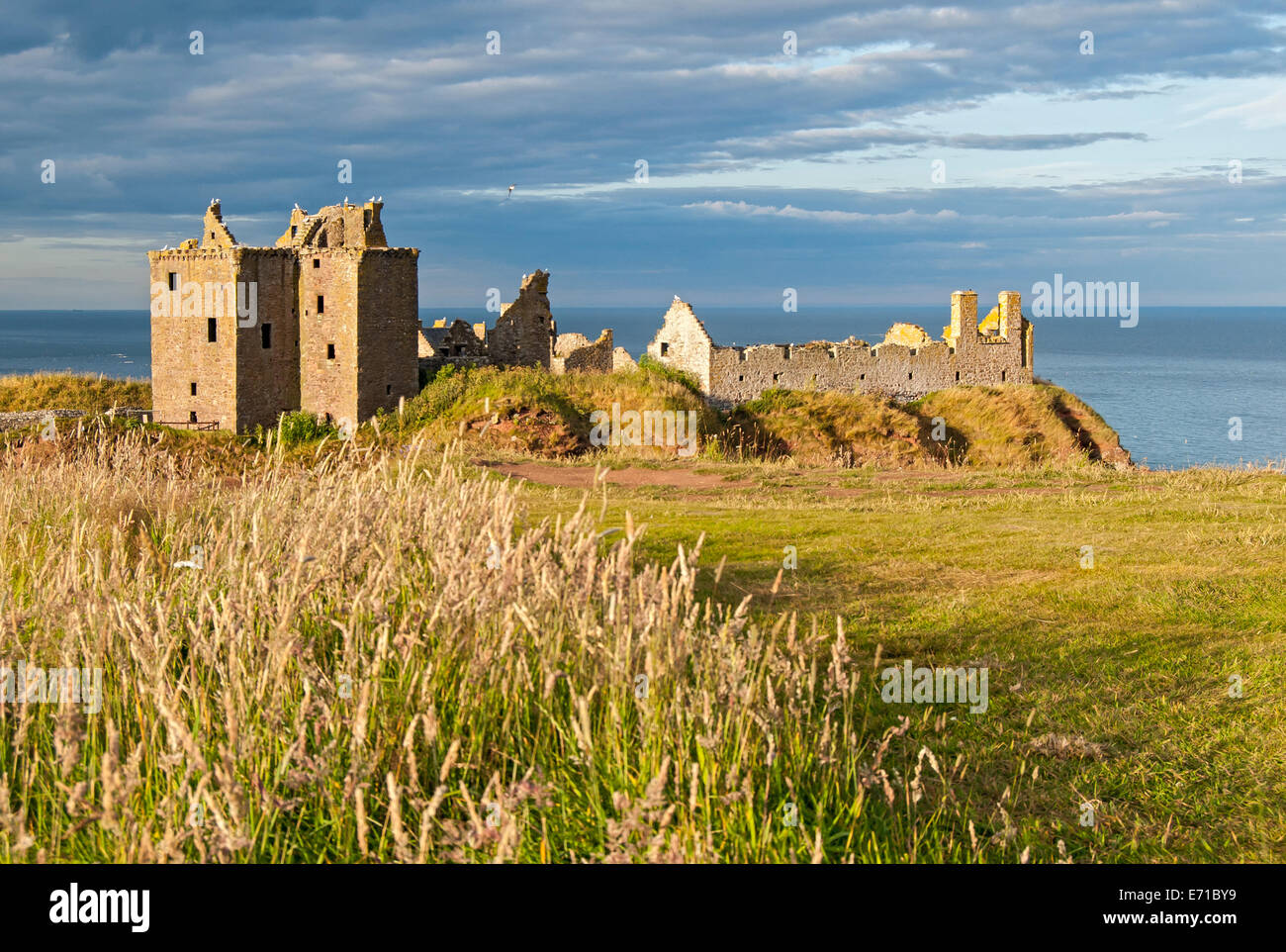 Stonehaven scotland hi-res stock photography and images - Alamy