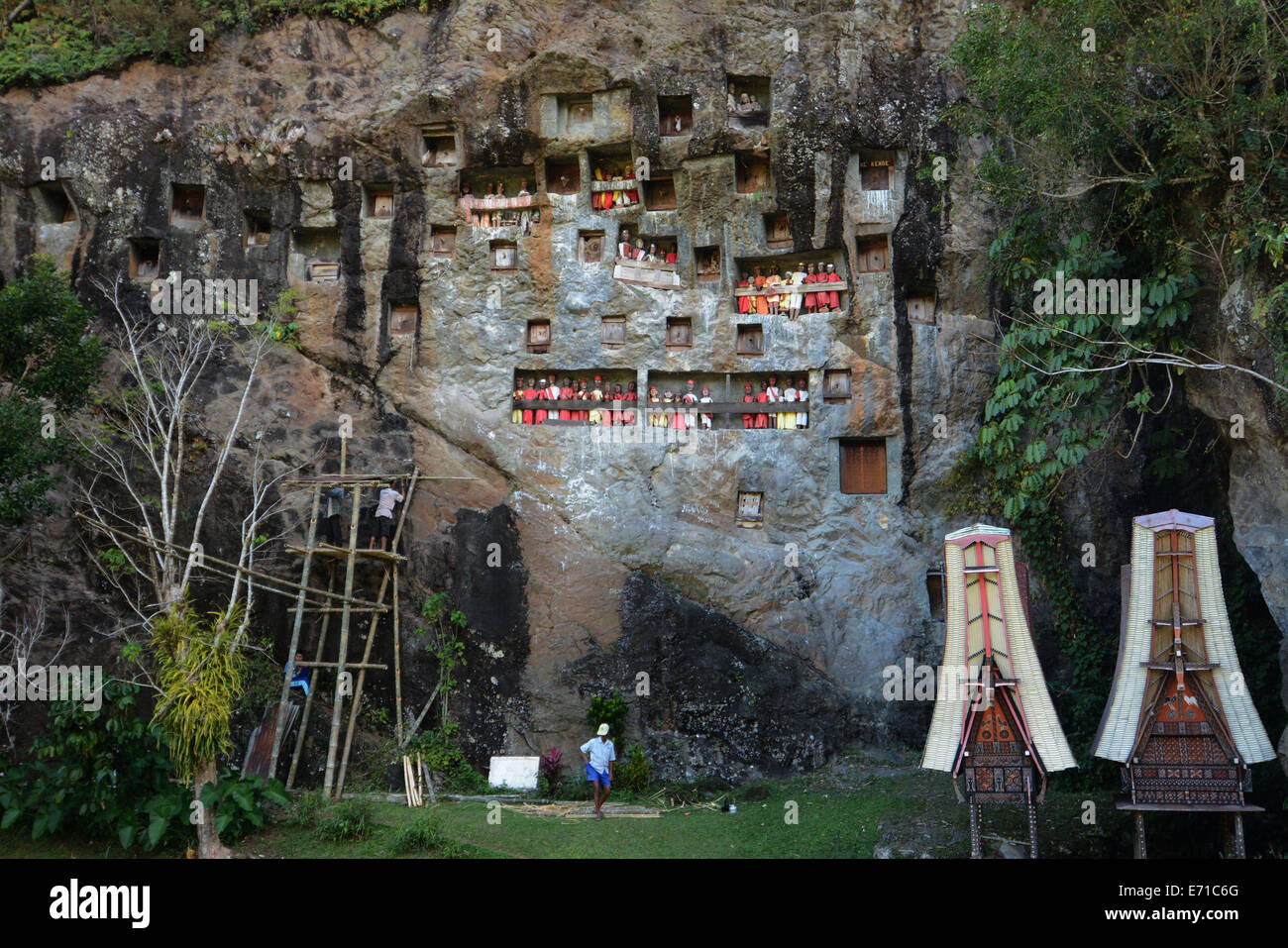 Toraja sculpture hi-res stock photography and images - Alamy
