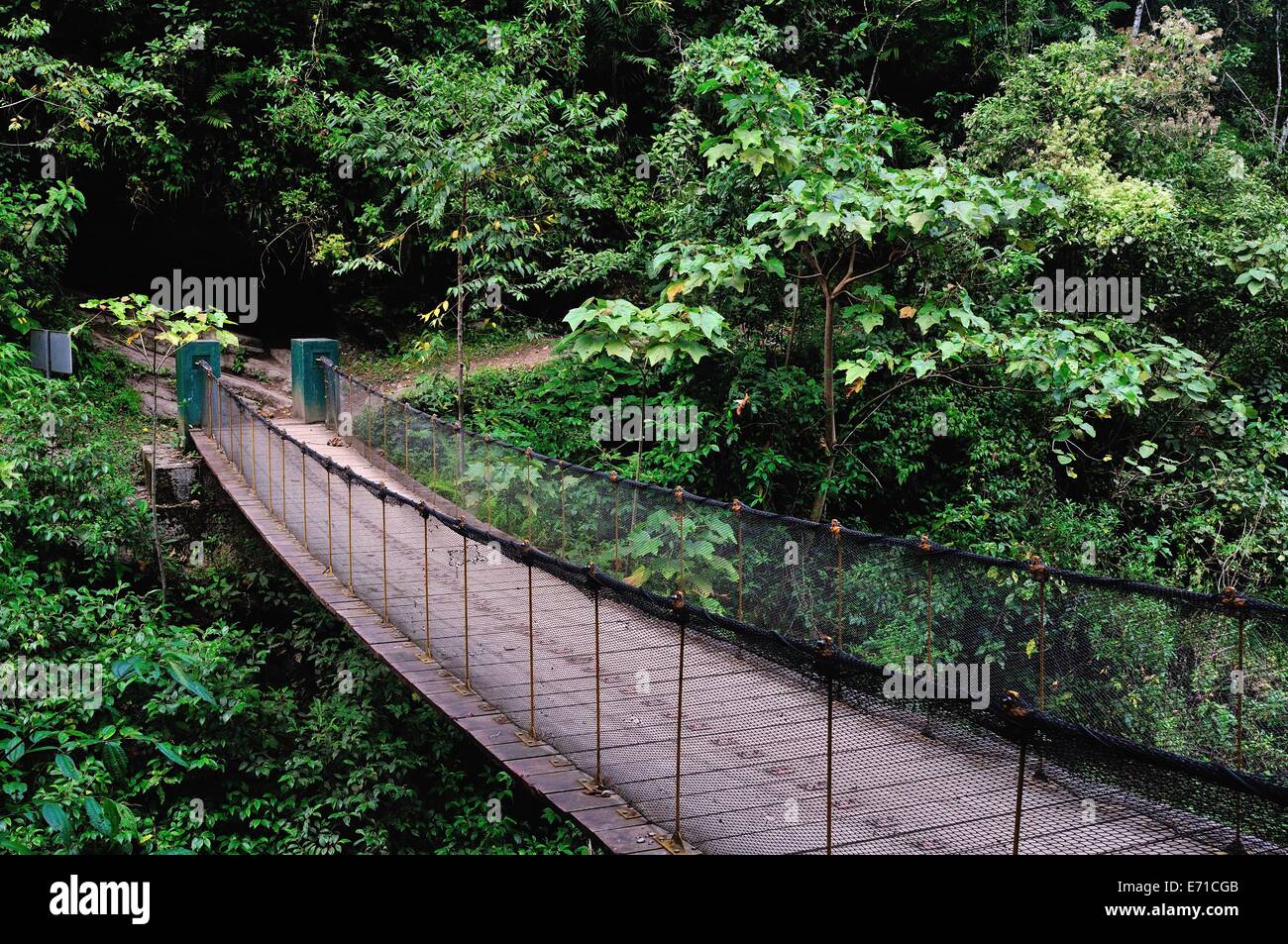 Gocta Waterfalls route in CHACHAPOYAS . Department of Amazonas .PERU ...