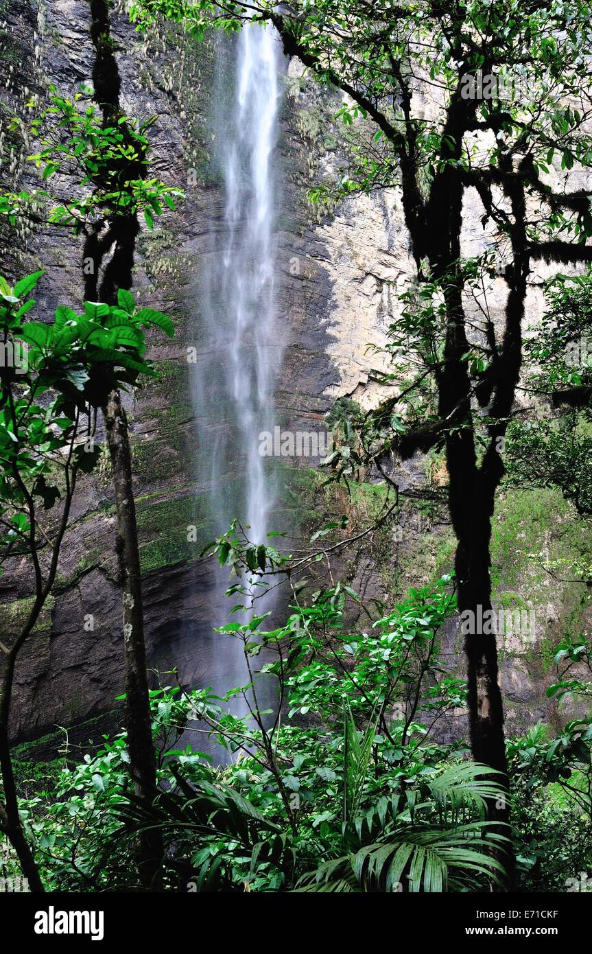 Gocta Waterfalls route in CHACHAPOYAS . Department of Amazonas .PERU ...