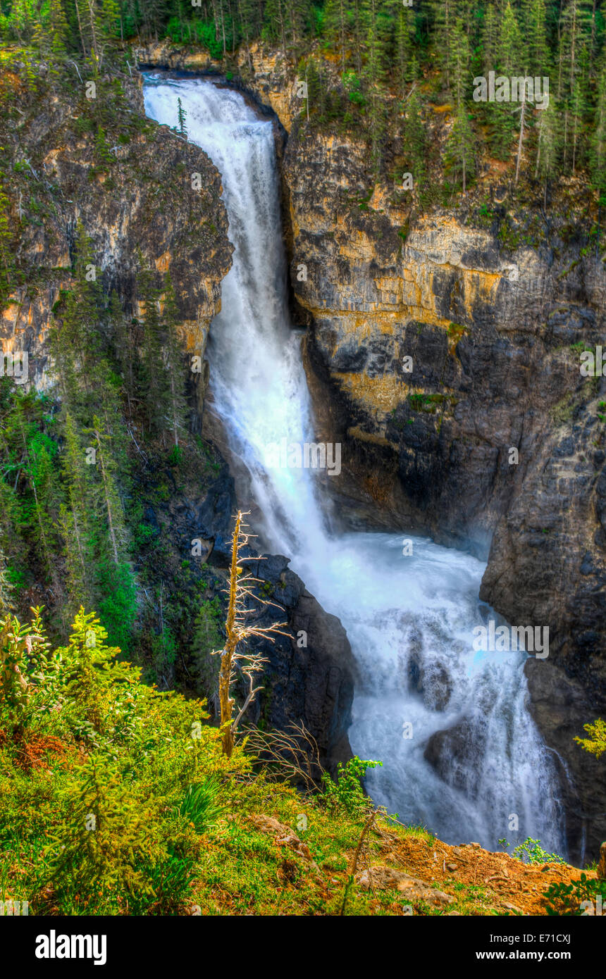 Scenic mountain hiking views, Berg Lake Trail, Mount Robson Provincial ...