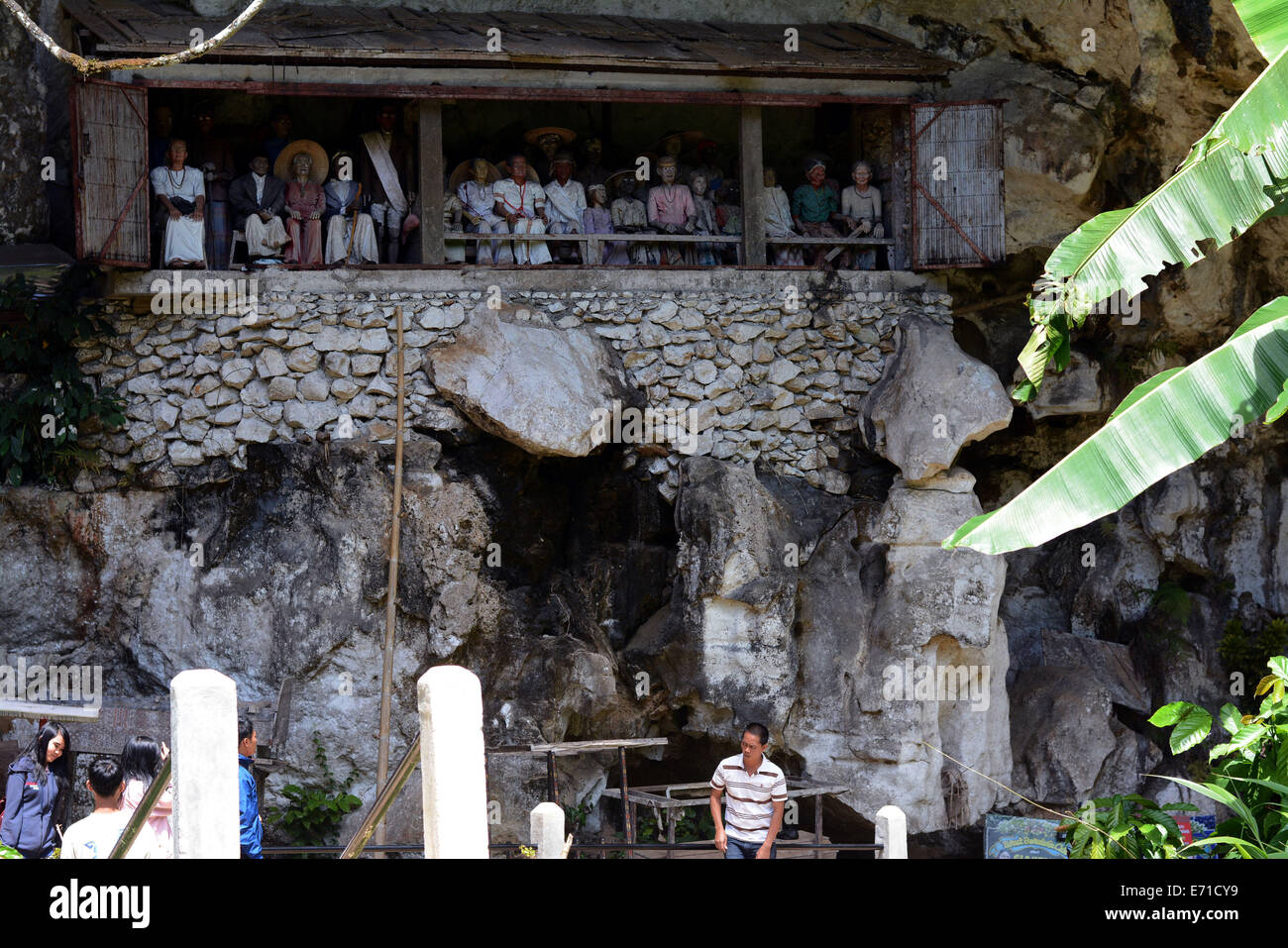 Toraja Utara, Sulawesi Selatan, INDONESIA. 30th Aug, 2014. TORAJA ...