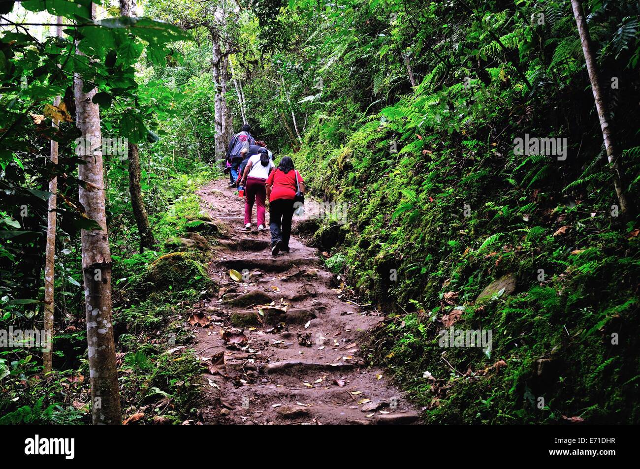 Gocta Waterfalls route in CHACHAPOYAS . Department of Amazonas .PERU ...