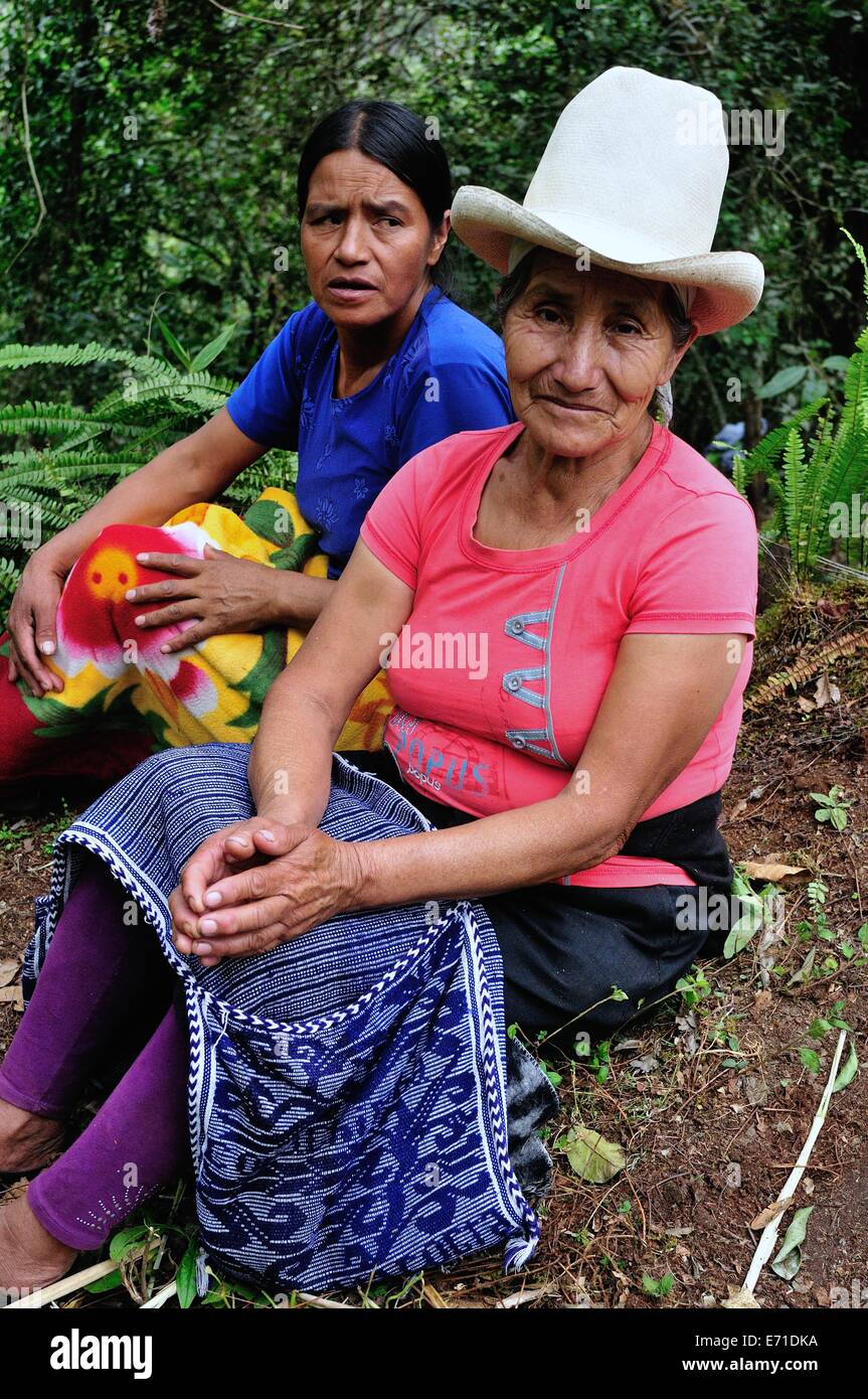 Guides for tourist - Gocta Waterfalls route in CHACHAPOYAS . Department ...