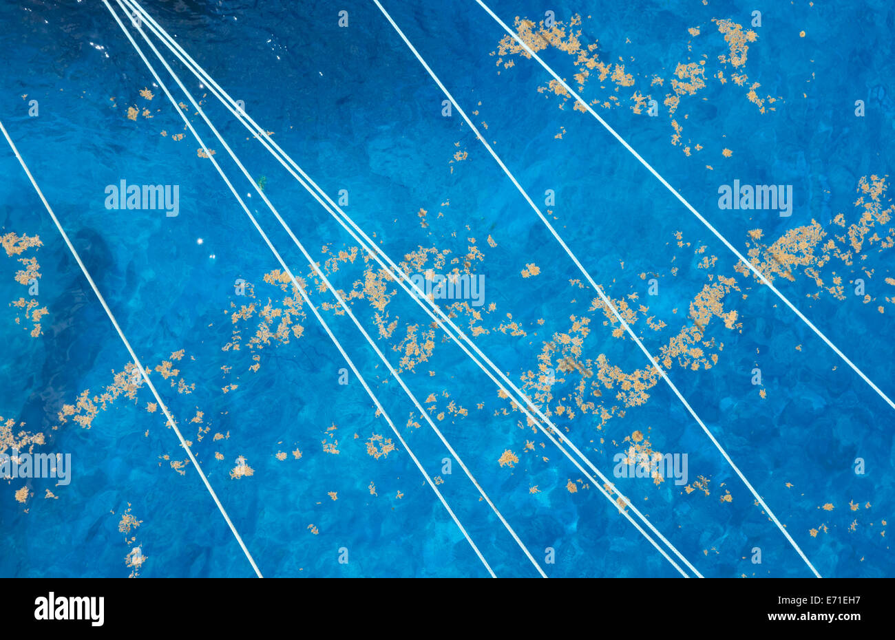 Ship mooring lines cross over an azure blue sea Stock Photo - Alamy