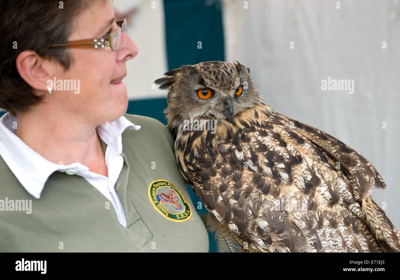 An eagle owl with its handler from the South Eastern Raptors ...
