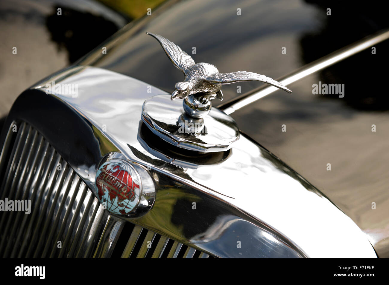 Detail and reflection on the bonnet of a vintage Ford classic motor car ...