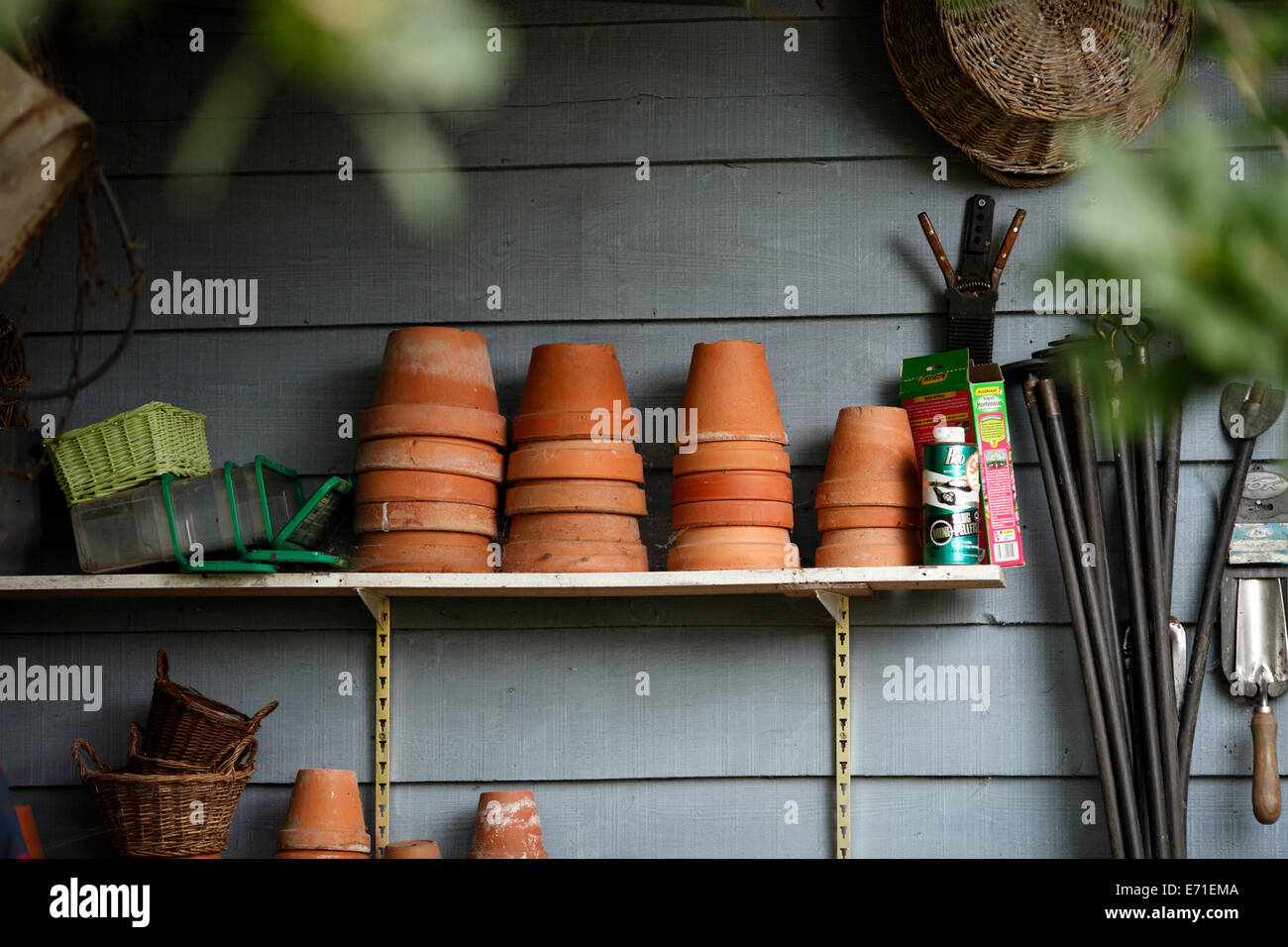old pots stored on a shelf Stock Photo - Alamy