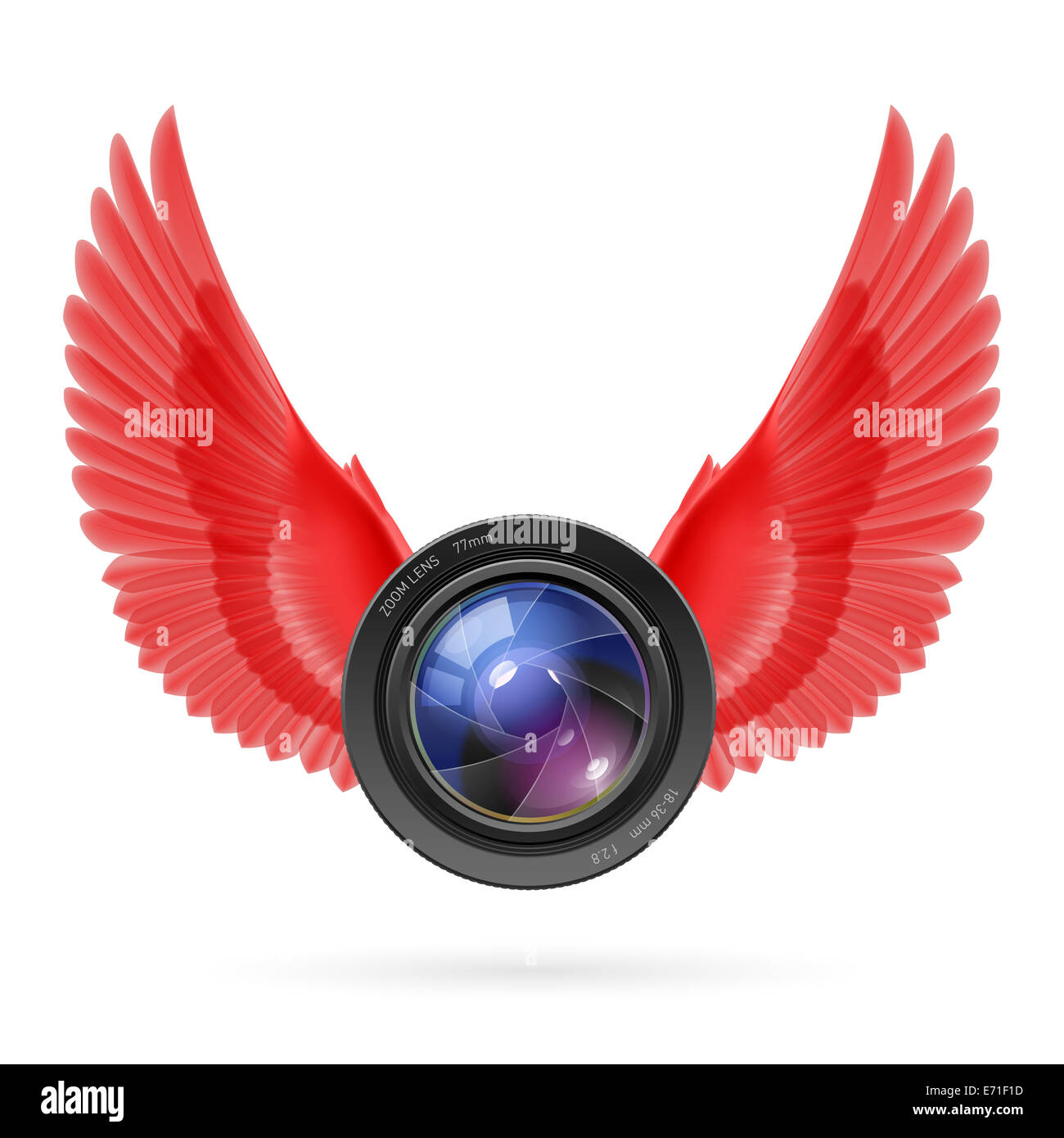 Photo camera with wings hi-res stock photography and images - Alamy