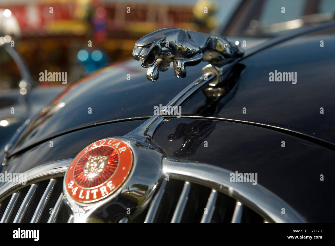 Jaguar Logo On Vintage Car Stock Photos & Jaguar Logo On Vintage Car ...