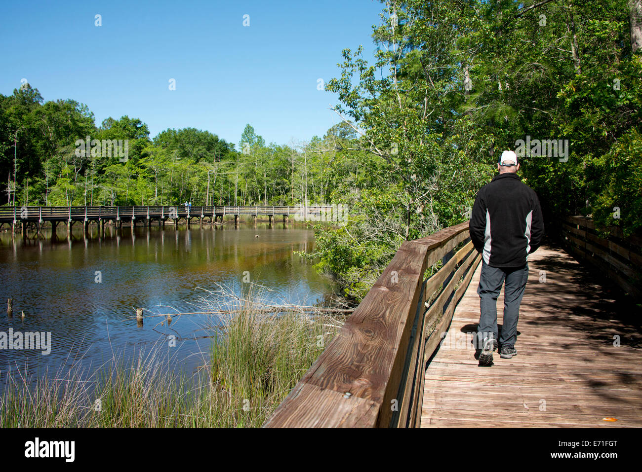 Usa Alabama Theodore Near Mobile Historic Bellingrath Gardens And