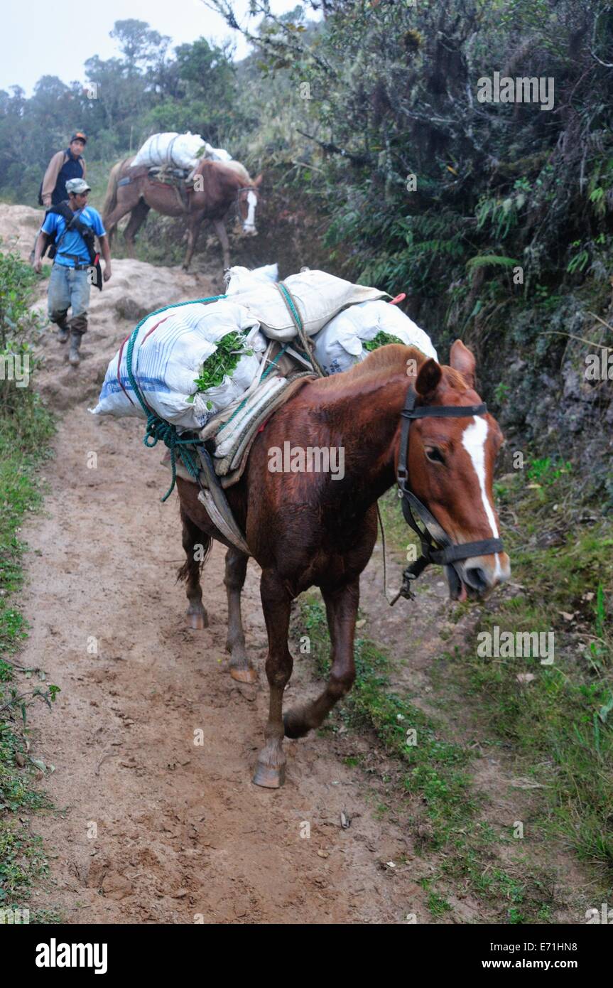 Cruzpata chachapoyas travel peru hi-res stock photography and images ...