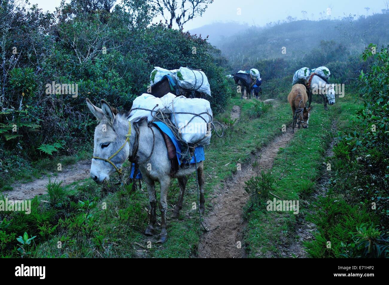Cruzpata chachapoyas travel peru hi-res stock photography and images ...