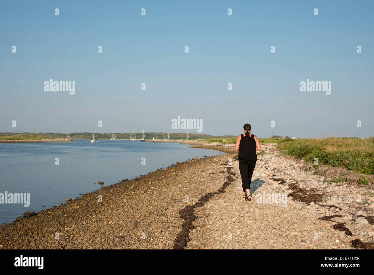 USA, Massachusetts, Elizabeth Islands, Cuttyhunk Island, Gosnold. Rocky ...