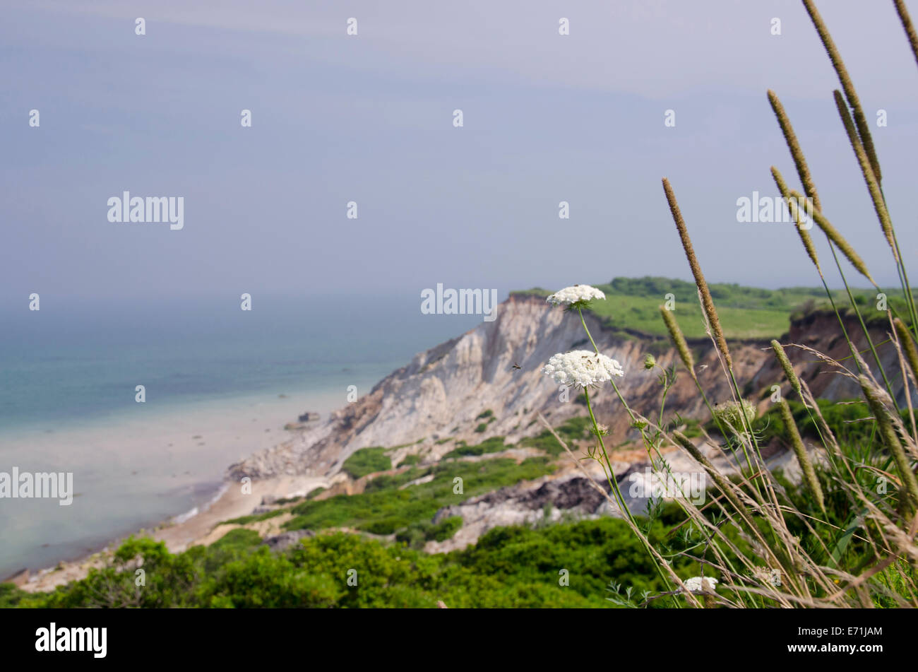 Gay head cliffs by massachusetts hi-res stock photography and images ...