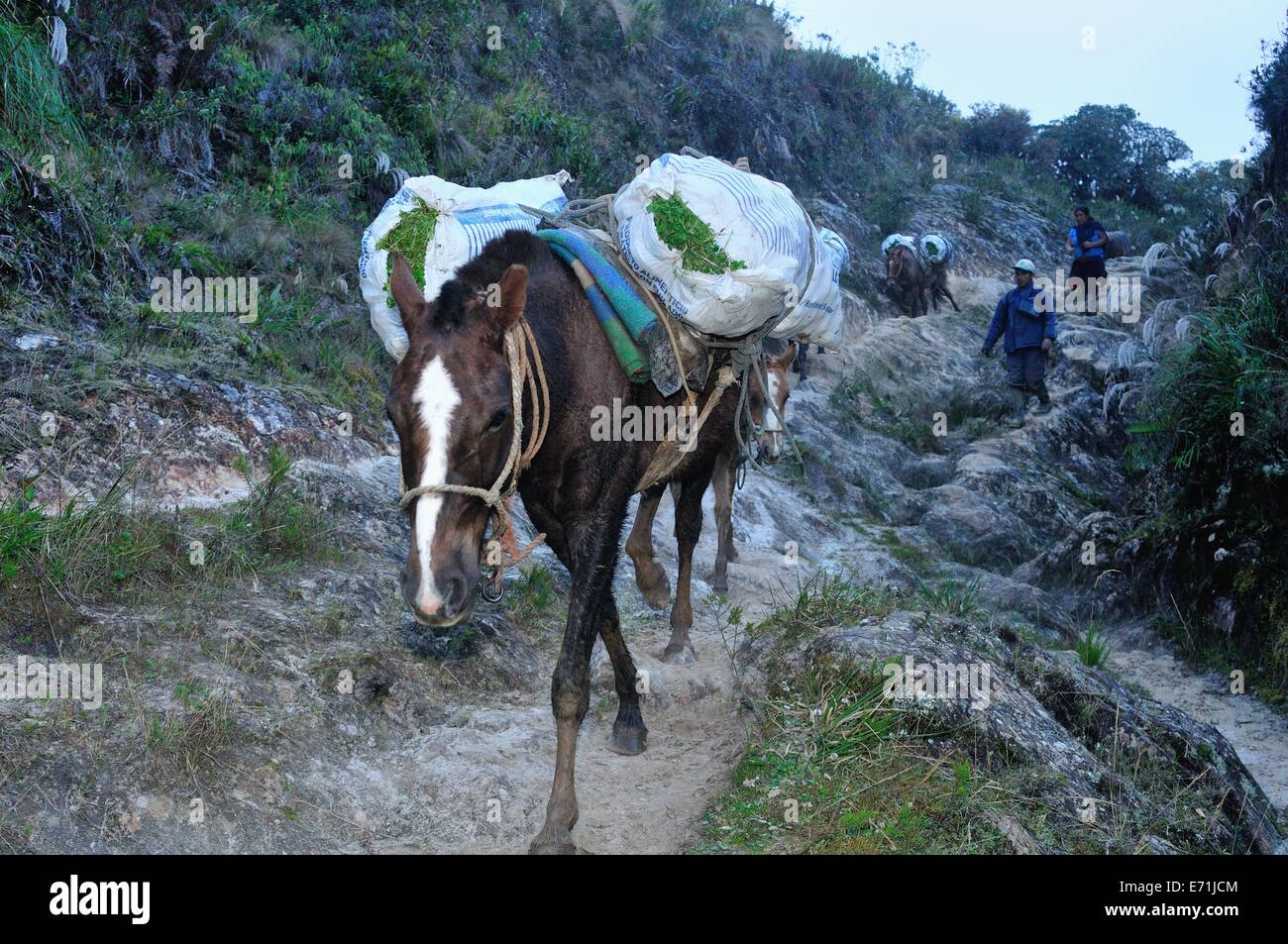Cruzpata chachapoyas travel peru hi-res stock photography and images ...