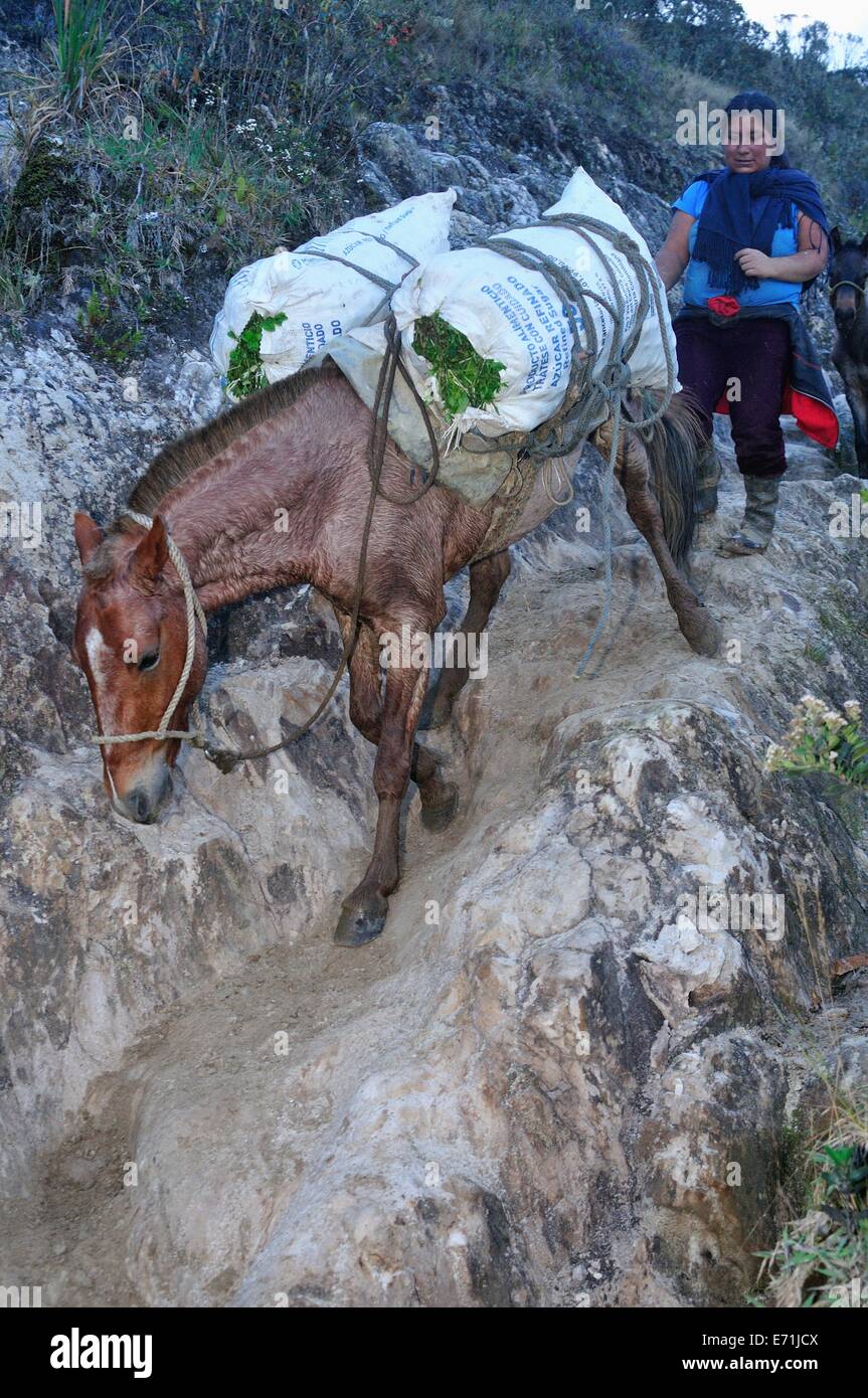 Cruzpata chachapoyas travel peru hi-res stock photography and images ...