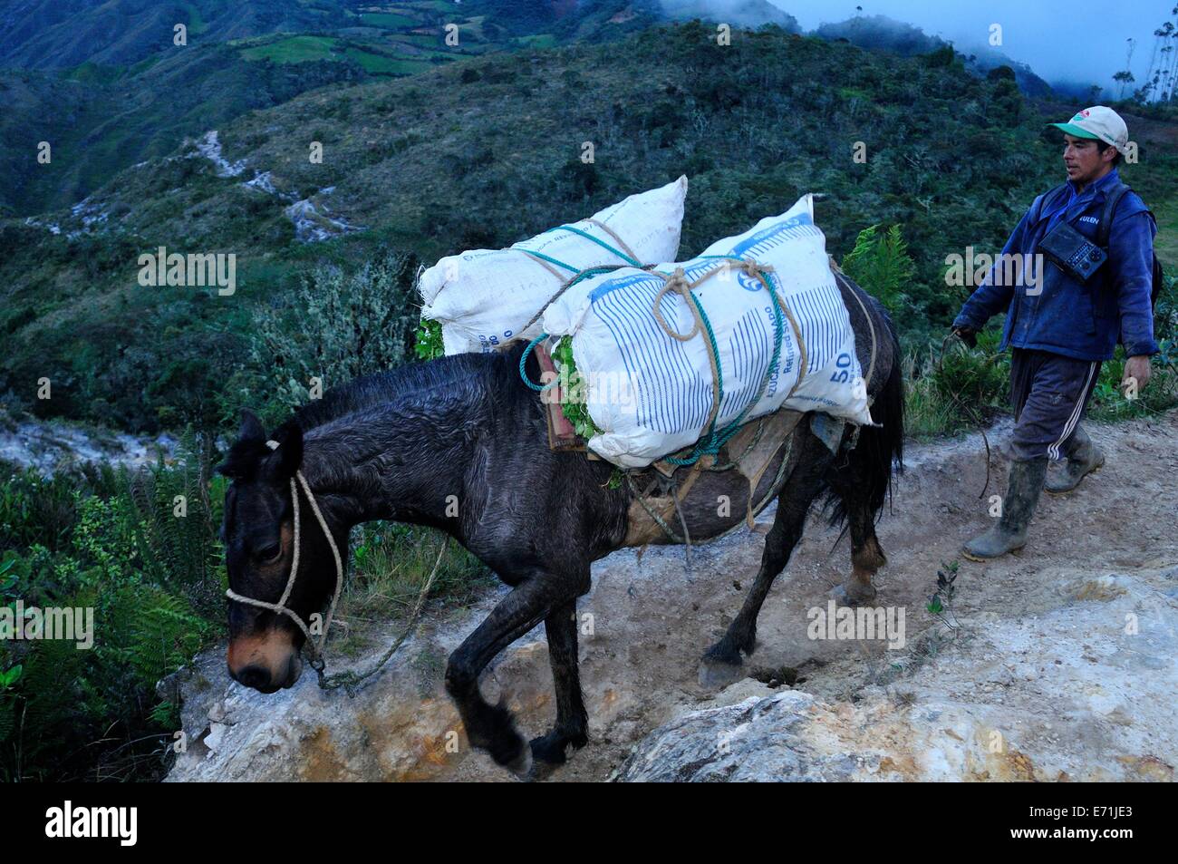 Route for collecting potatoes in Cruzpata - CHACHAPOYAS . Department of ...