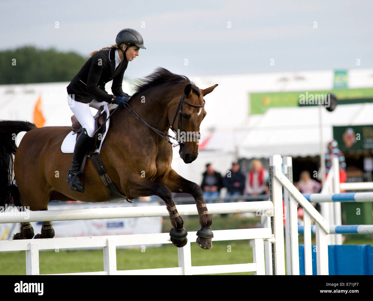 A horse and rider over a fence in the show jumping competition at the ...
