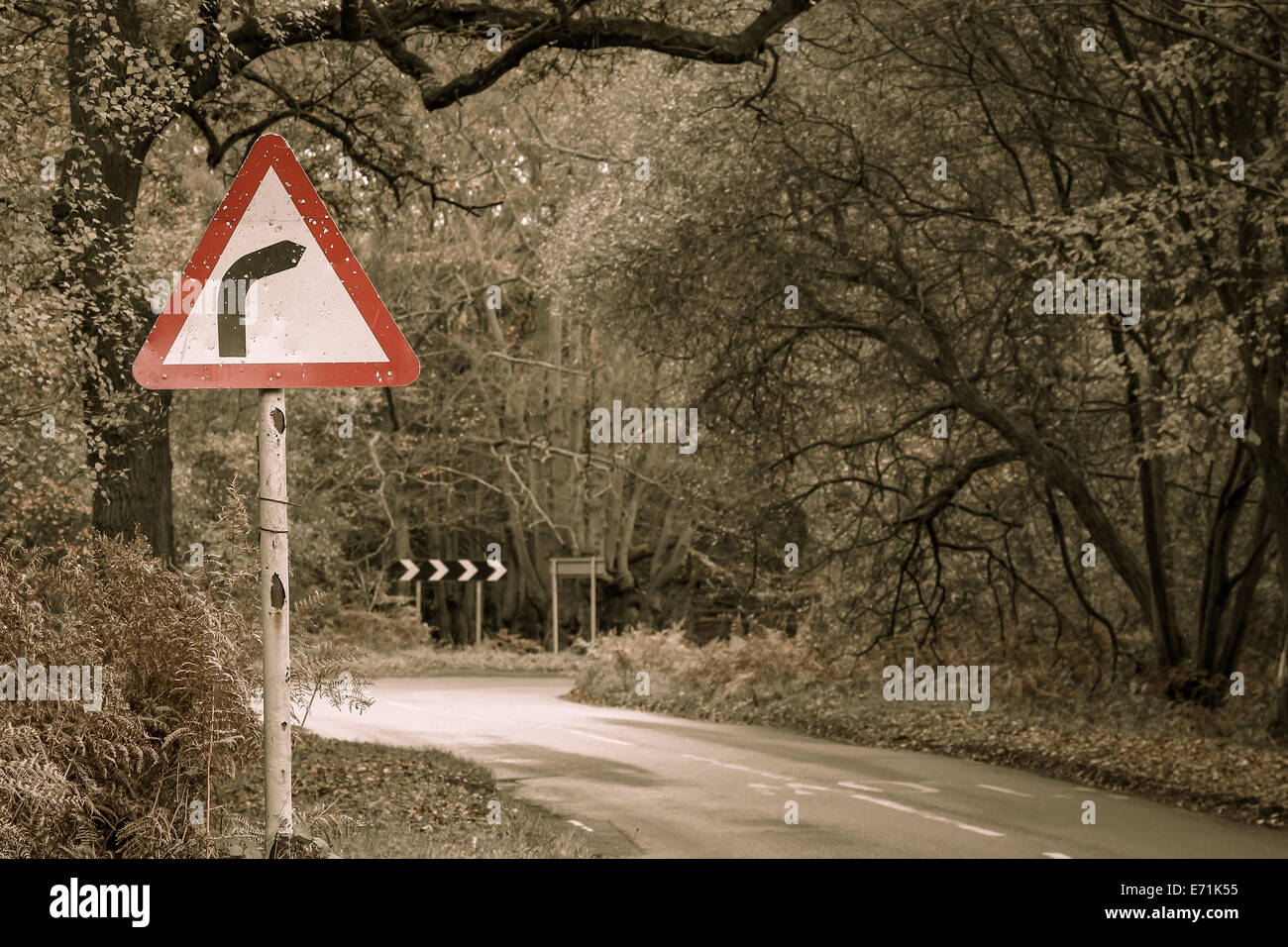 Empty road in epping forest during autumn with a right turn sign and a ...