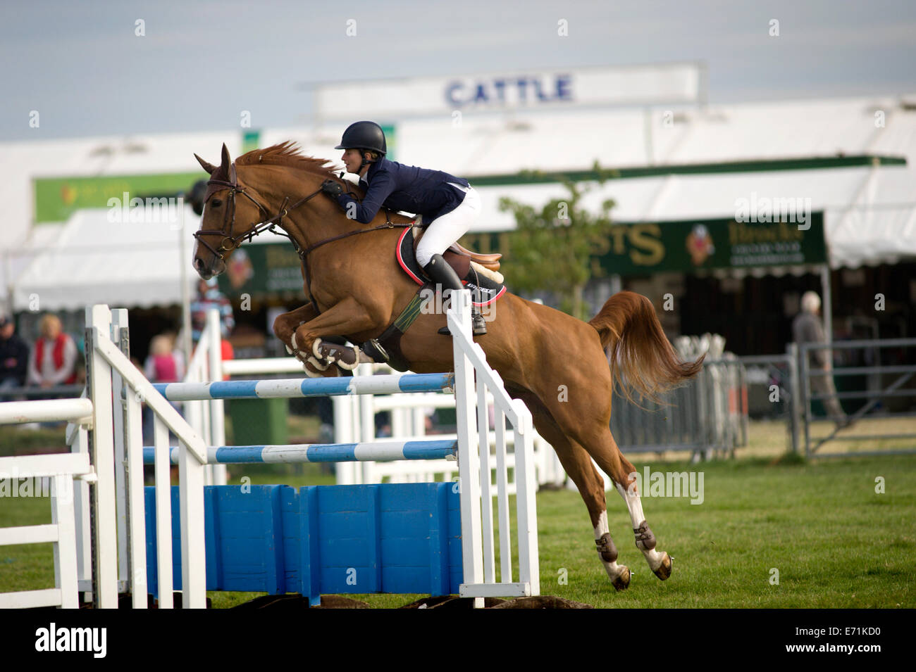 A horse and rider jump a fence in the show jumping competition at the ...