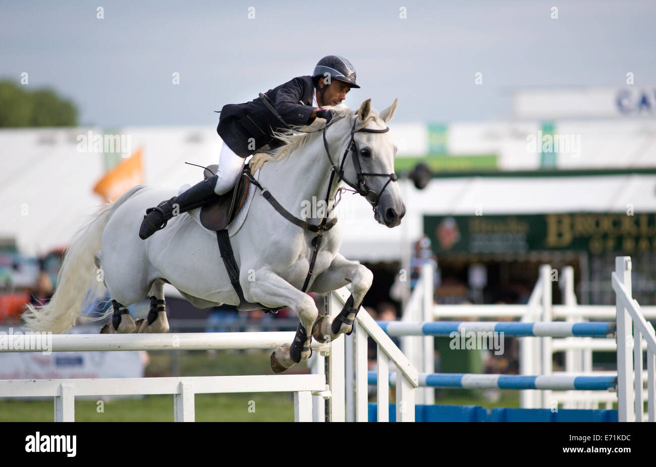 A horse and rider jump a fence in the show jumping competition at the ...