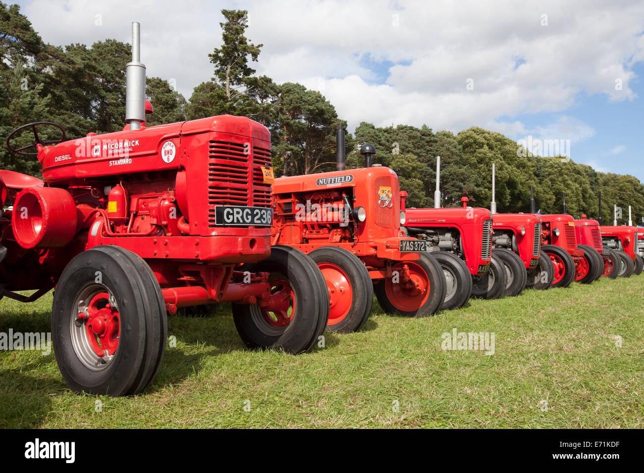 Red vintage tractors lined up at Banchory, Aberdeenshire, Scotland ...