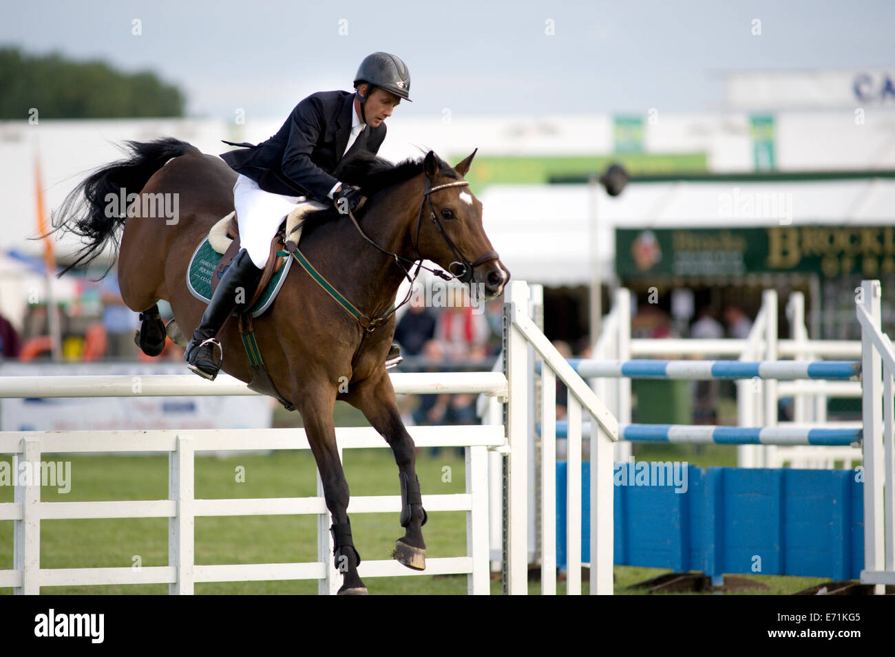 A horse and rider jump a fence in the show jumping competition at the ...