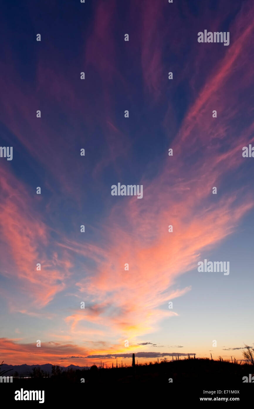 Arizona sunset in sonoran hi-res stock photography and images - Alamy