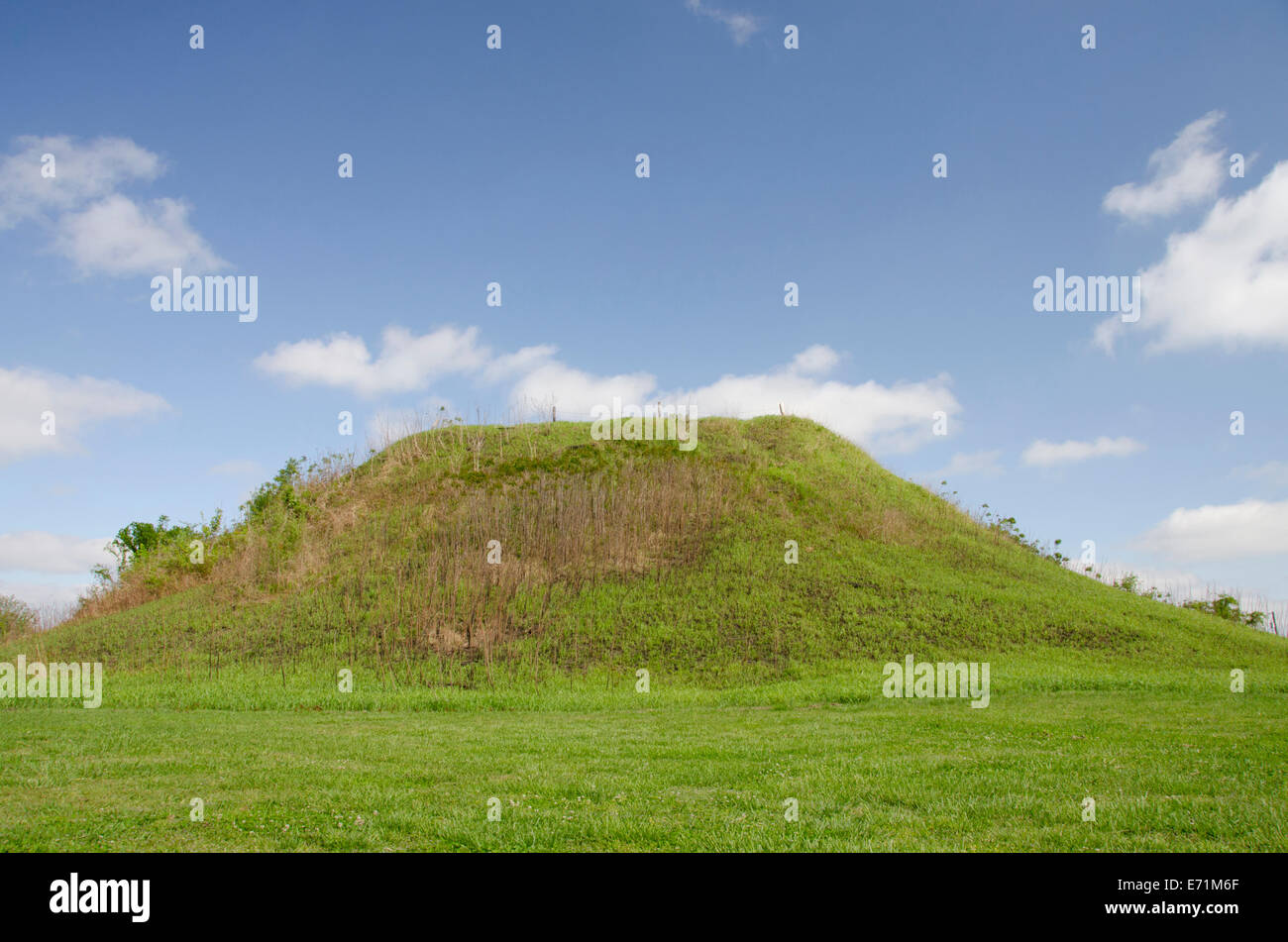 USA, Mississippi, Greenville. Winterville Mounds, a Native American ...