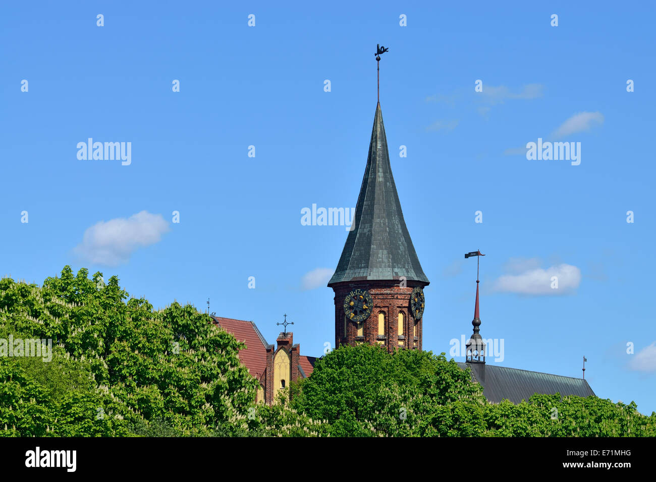 Koenigsberg Cathedral on the Kneiphof island. Kaliningrad (Koenigsberg ...