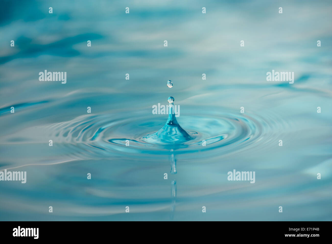Water Drop on Calm Surface Stock Photo - Alamy