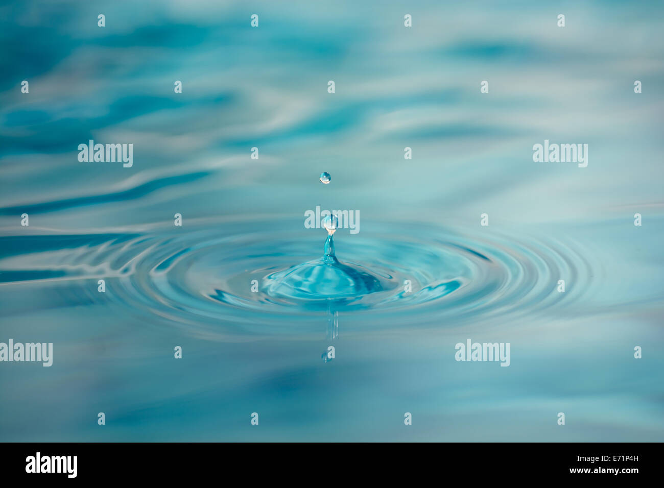 Water Drop on Calm Surface Stock Photo - Alamy