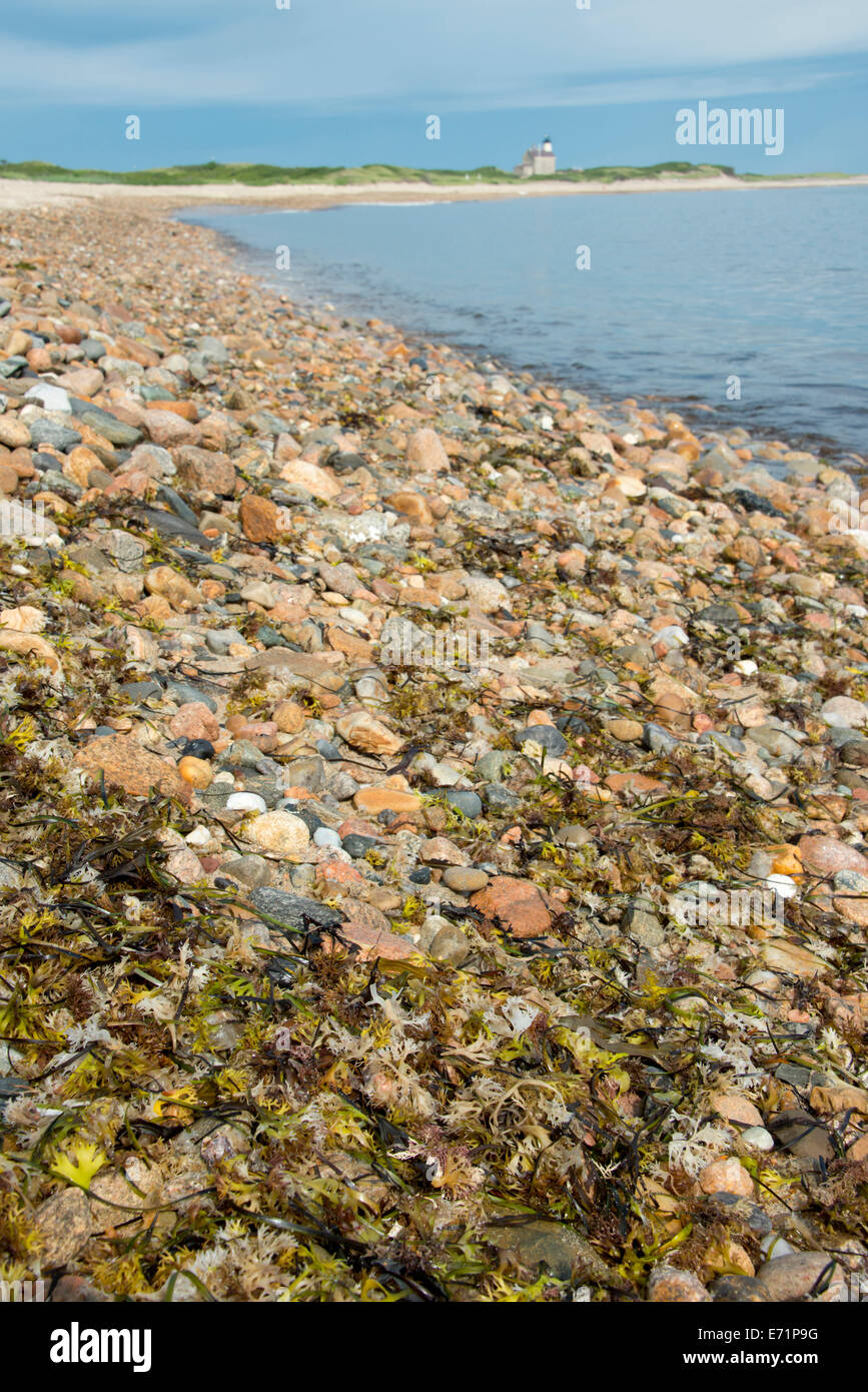 USA, Rhode Island, Block Island, Sandy Point. Rocky shoreline with ...