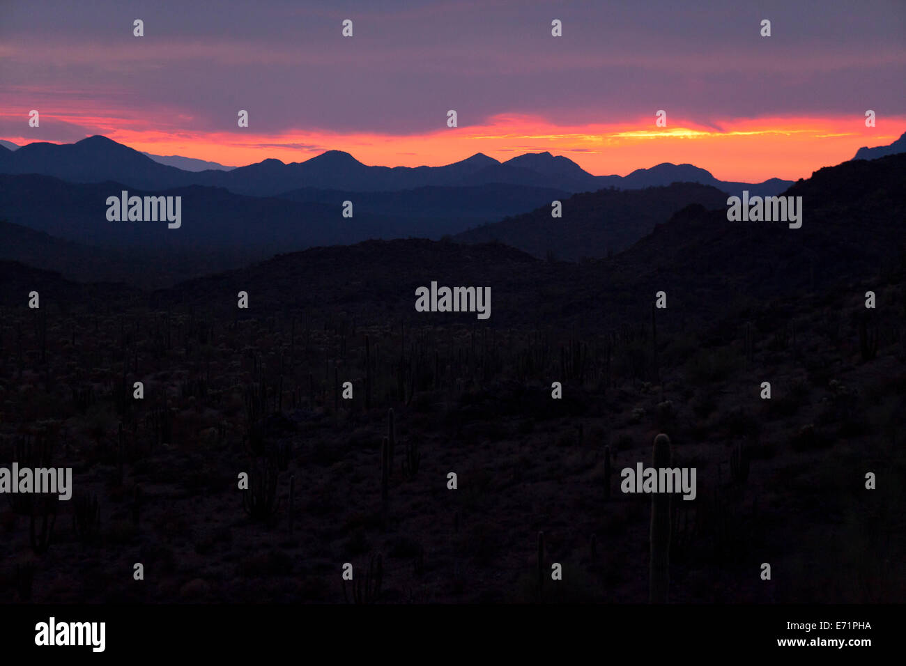 Mojave desert sunset - California USA Stock Photo - Alamy