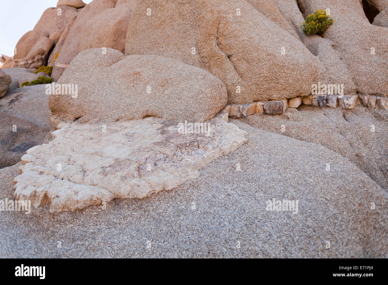 Unique monzogranite rock formations with aplite vein - California USA ...