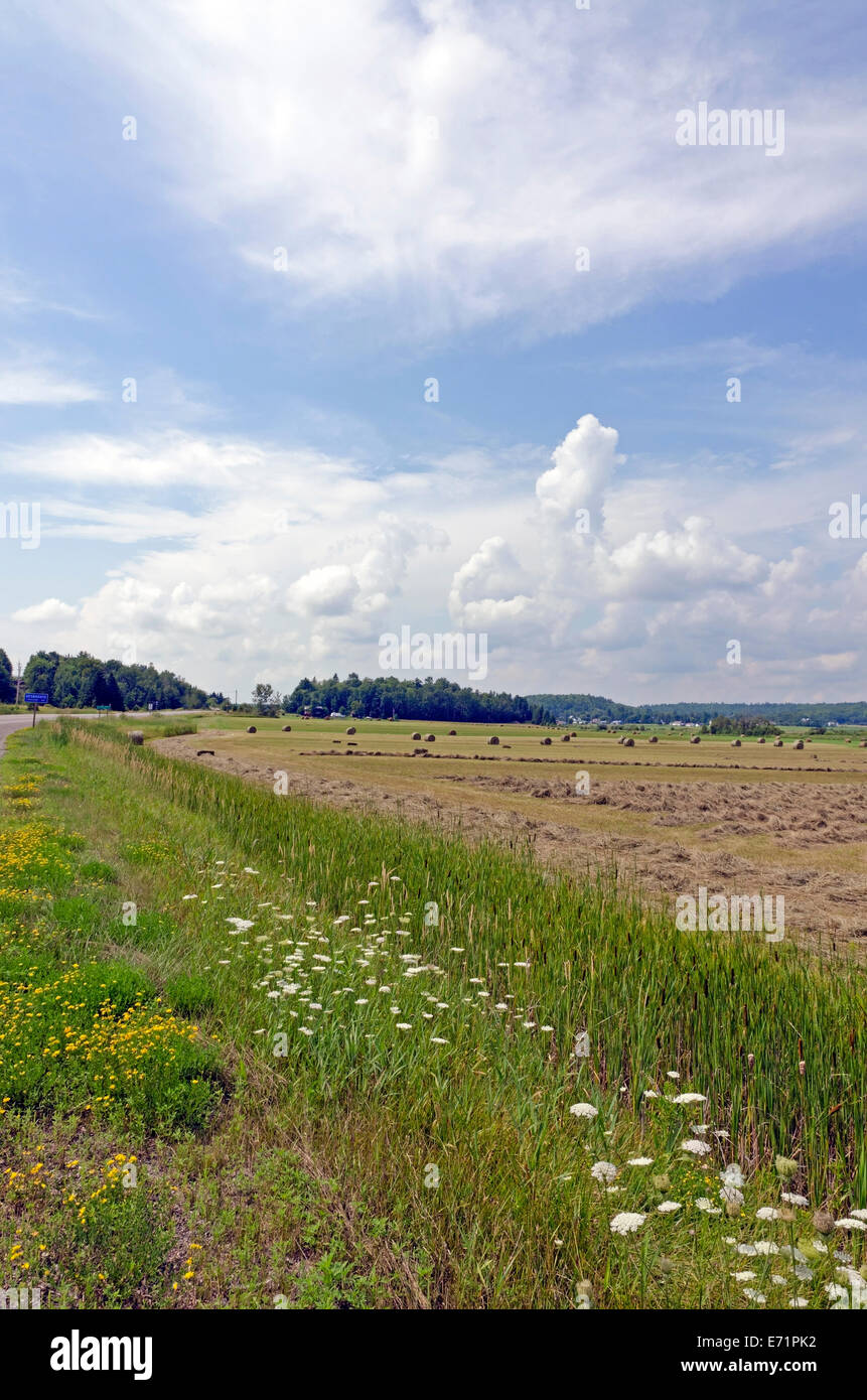 Round bails in a field hi-res stock photography and images - Alamy