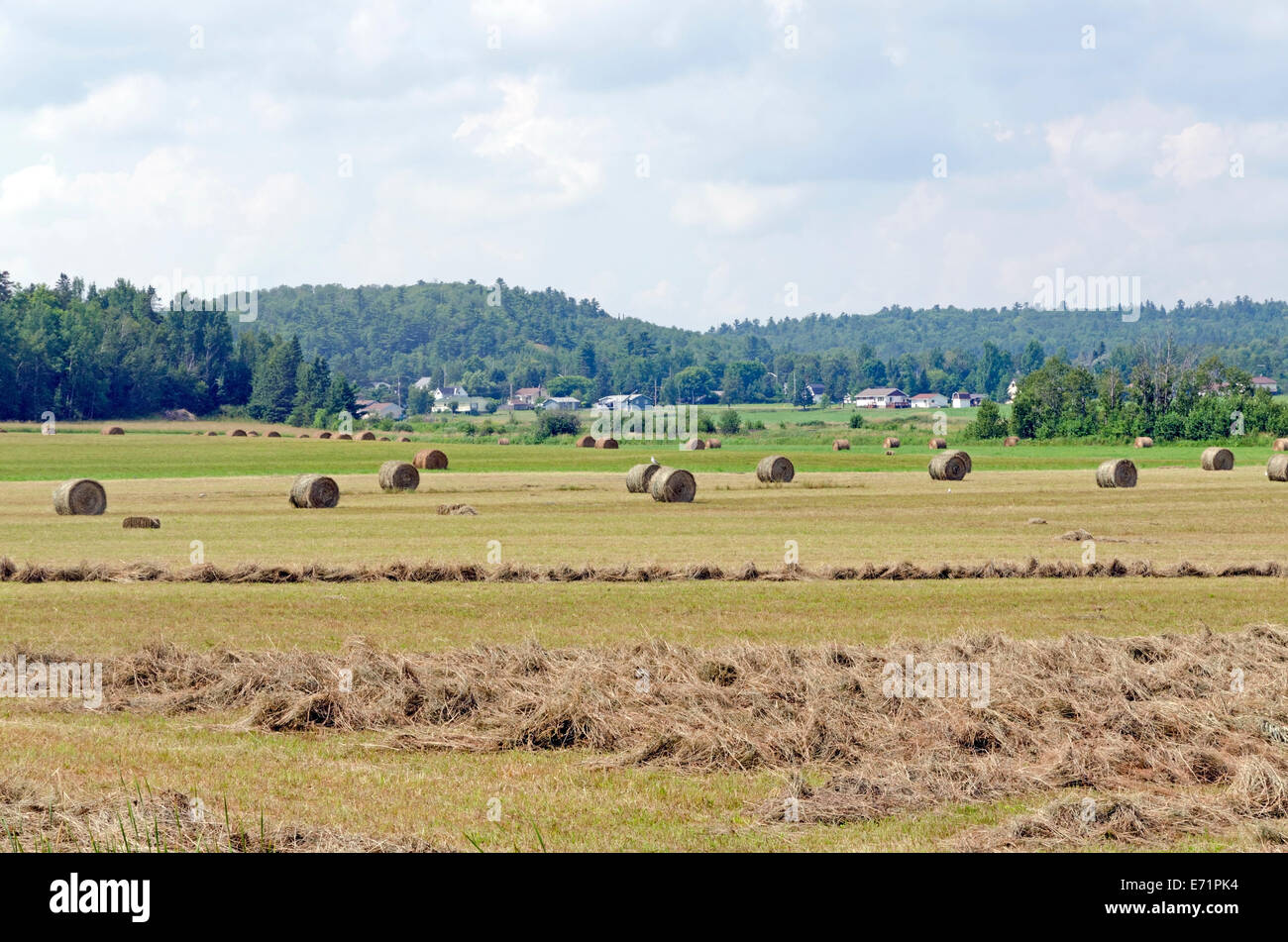 Round bails in a field hi-res stock photography and images - Alamy