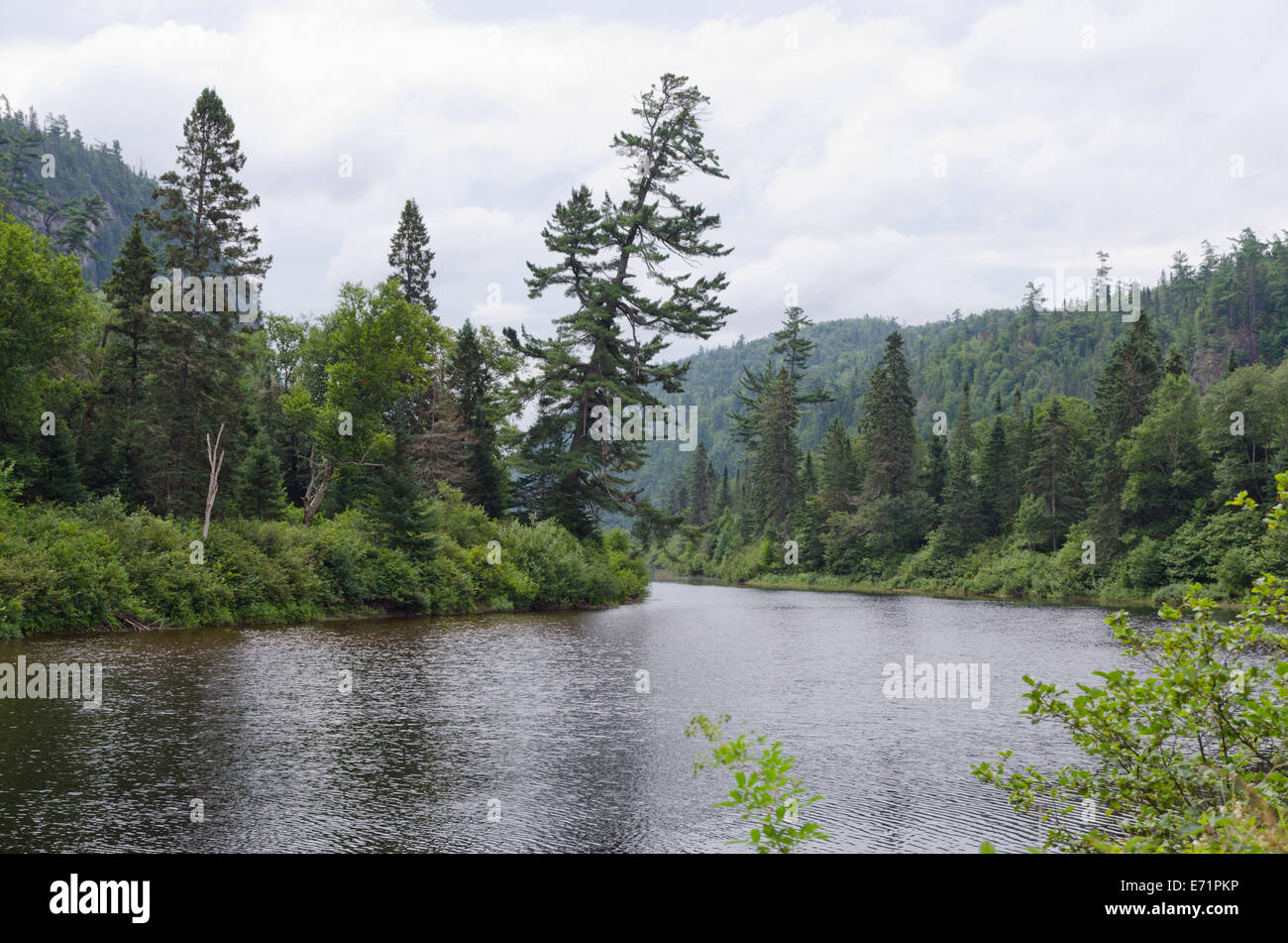 River shore on a overcast summer day Stock Photo - Alamy