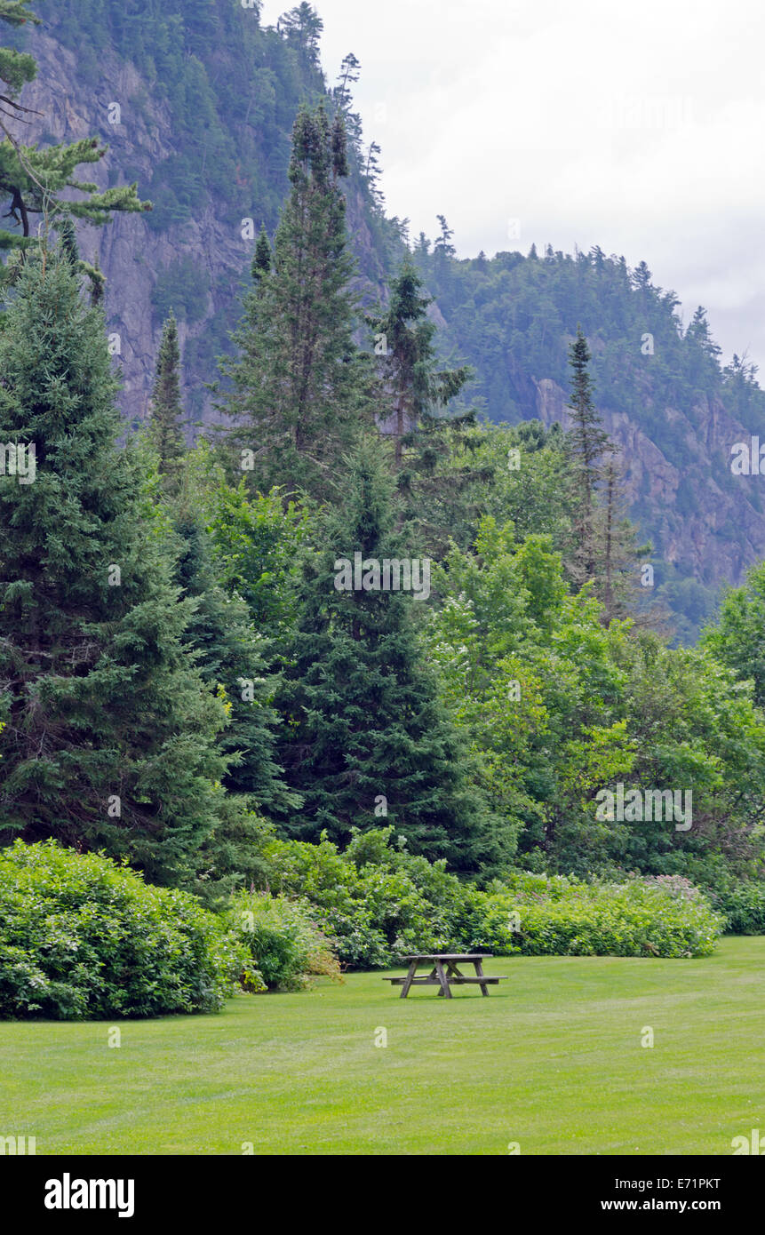 Green grass and trees under rocky cliff Stock Photo - Alamy