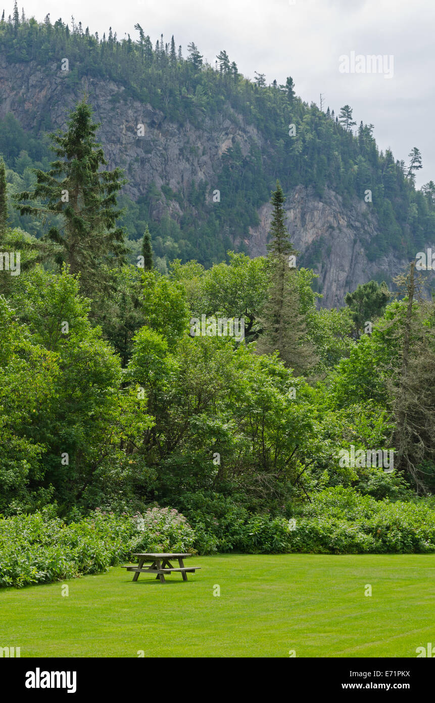 Green grass and trees under rocky cliff Stock Photo - Alamy