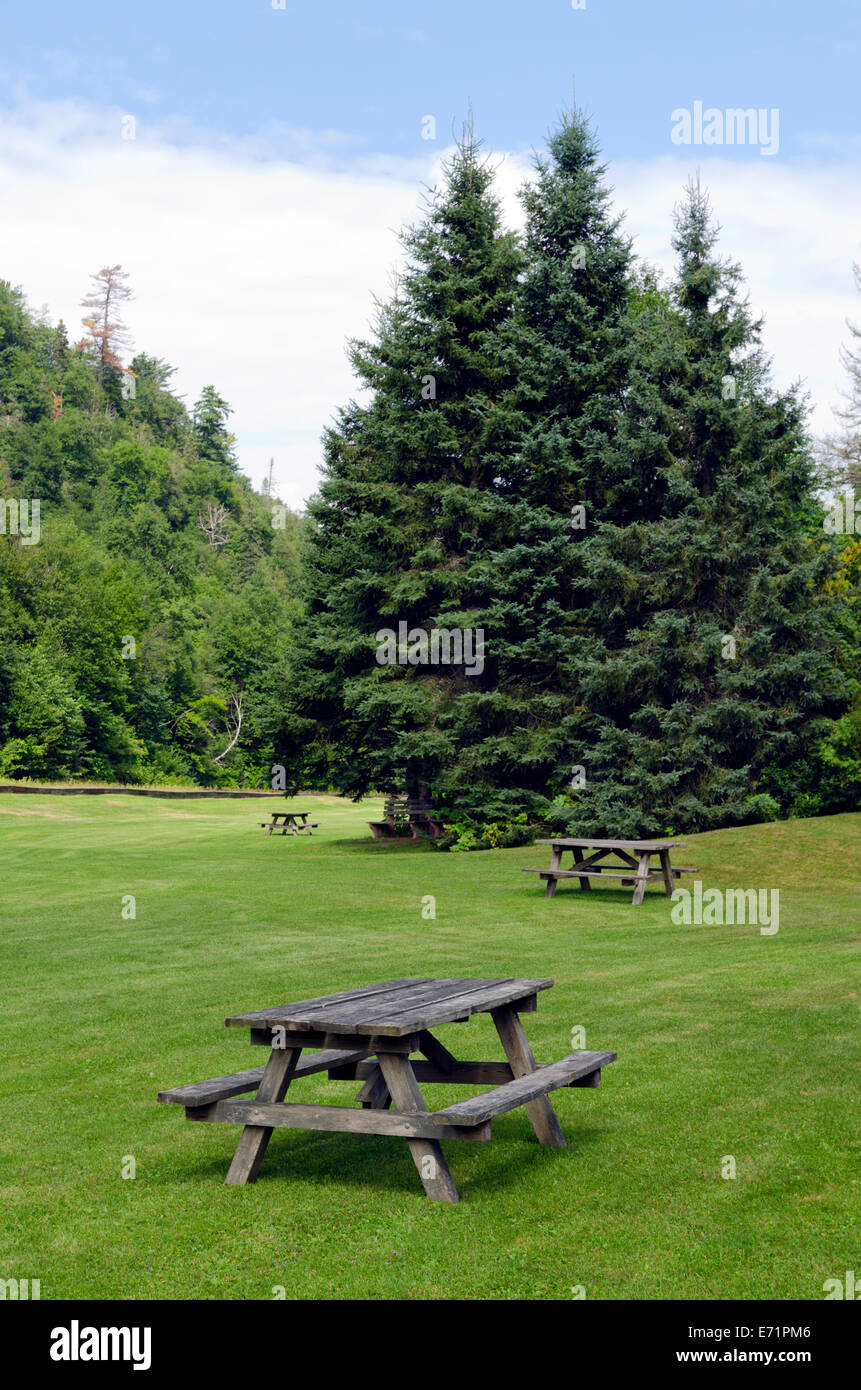 Barbecue tables on green grass in sunny day Stock Photo - Alamy