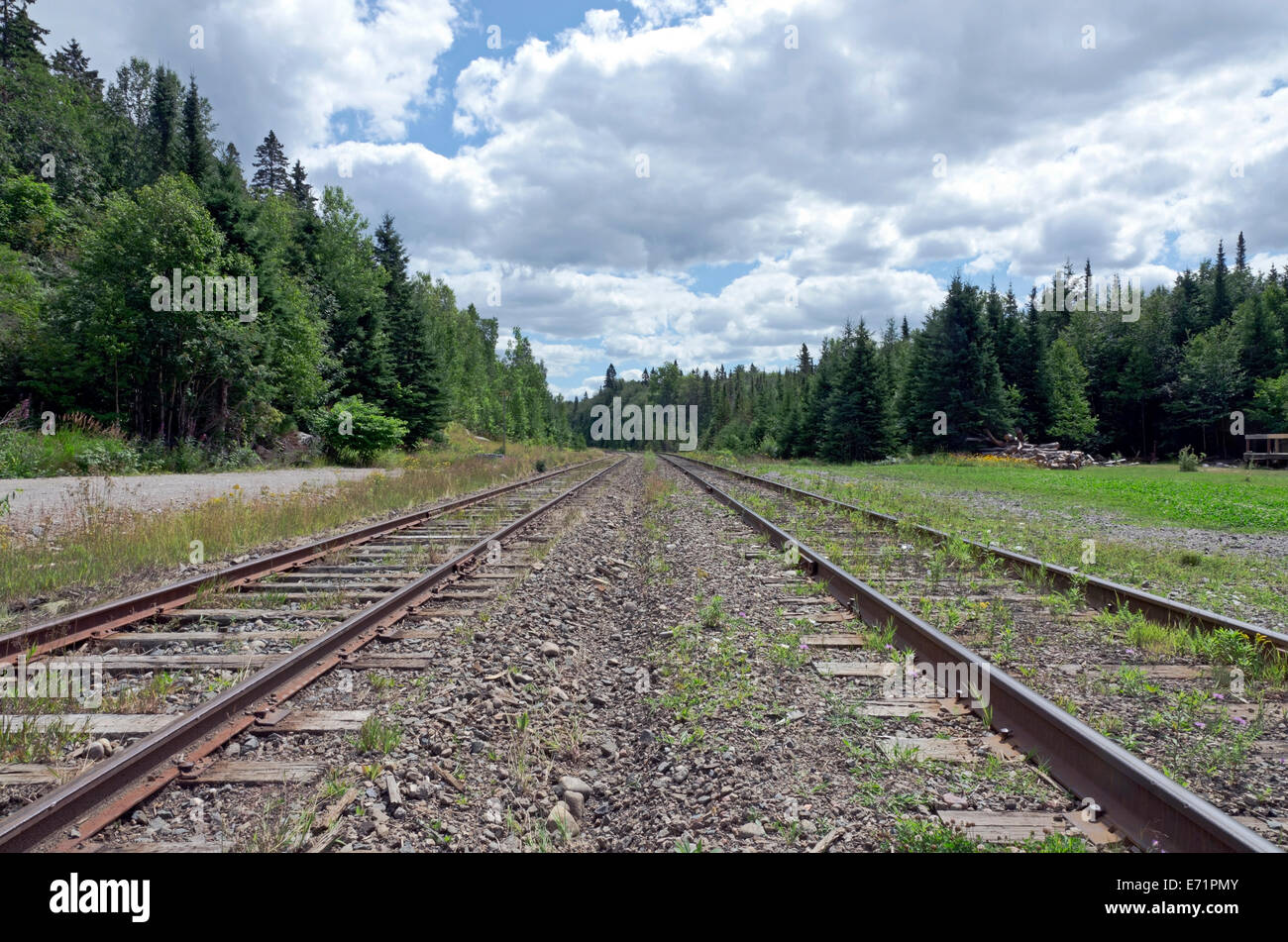 Canada green trees blue sky rail track hi-res stock photography and ...