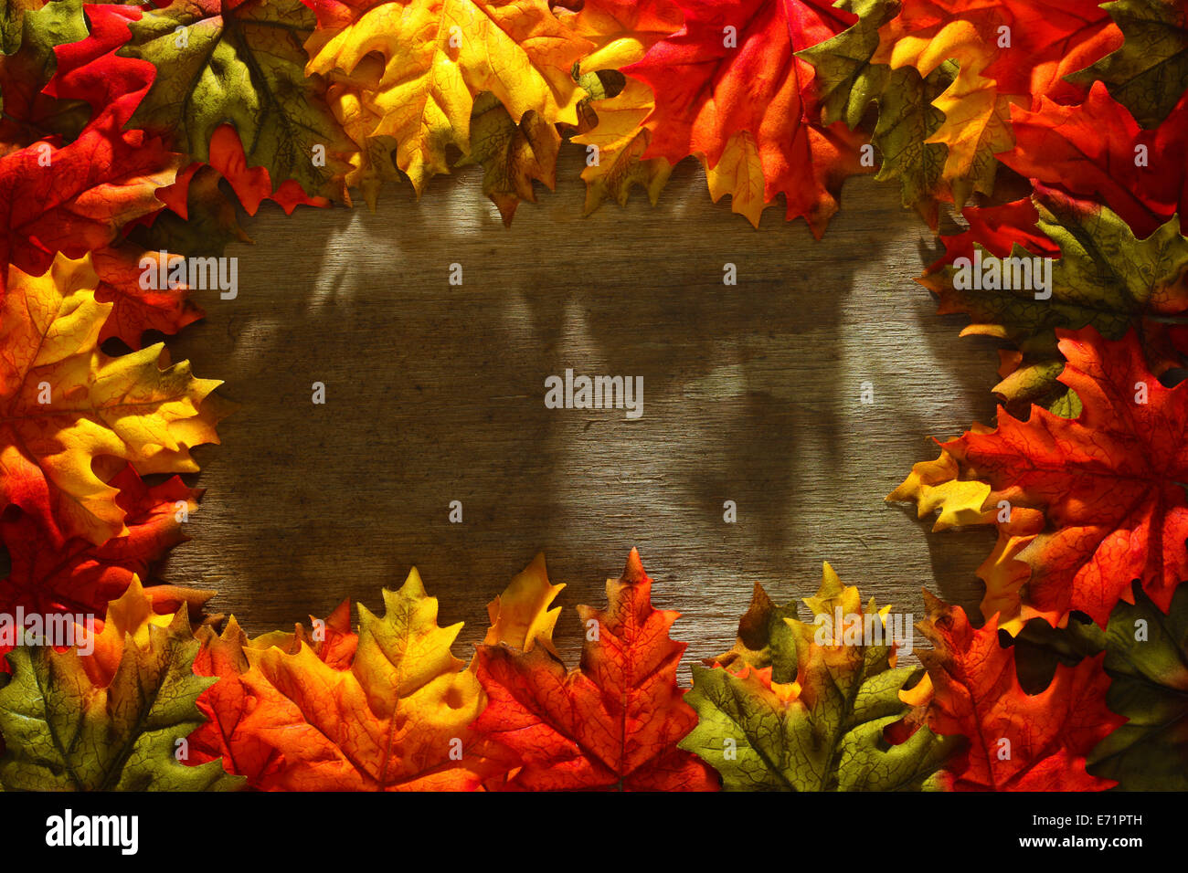 Warm colored leaves hi-res stock photography and images - Alamy