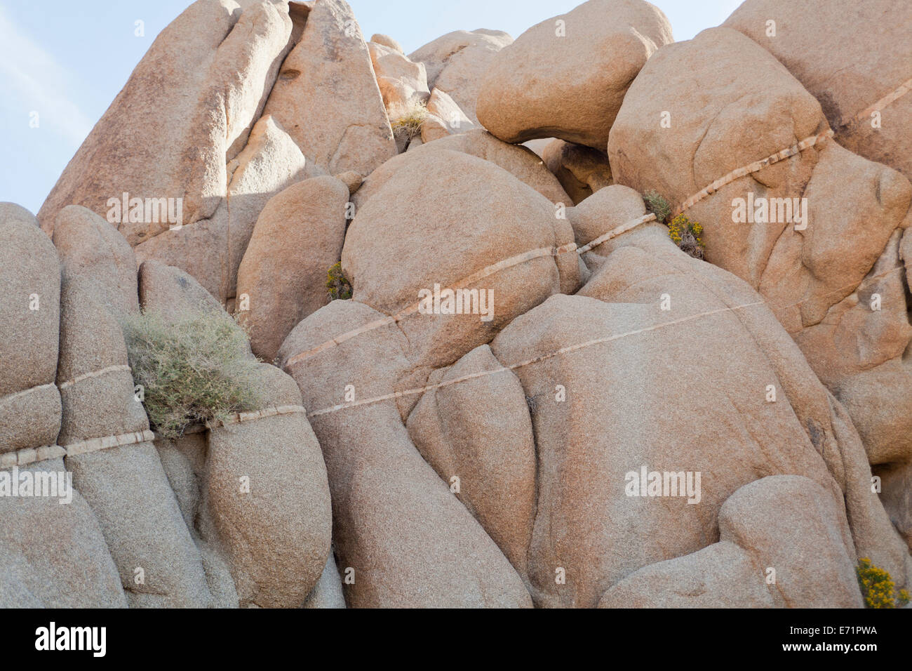 Unique monzogranite rock formations with aplite vein - California USA ...